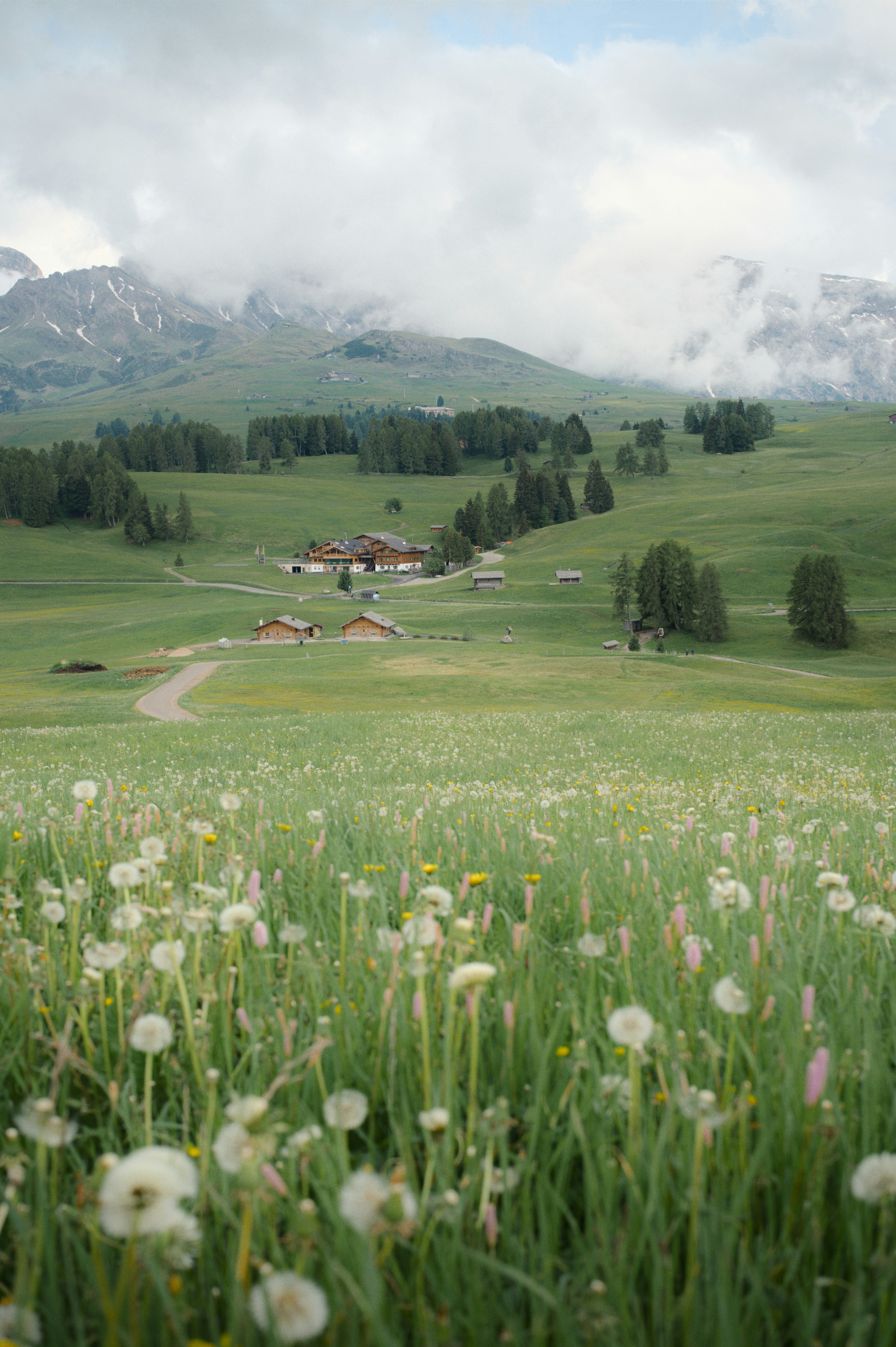 Pasture Village Beneath Rain-Soft Peaks