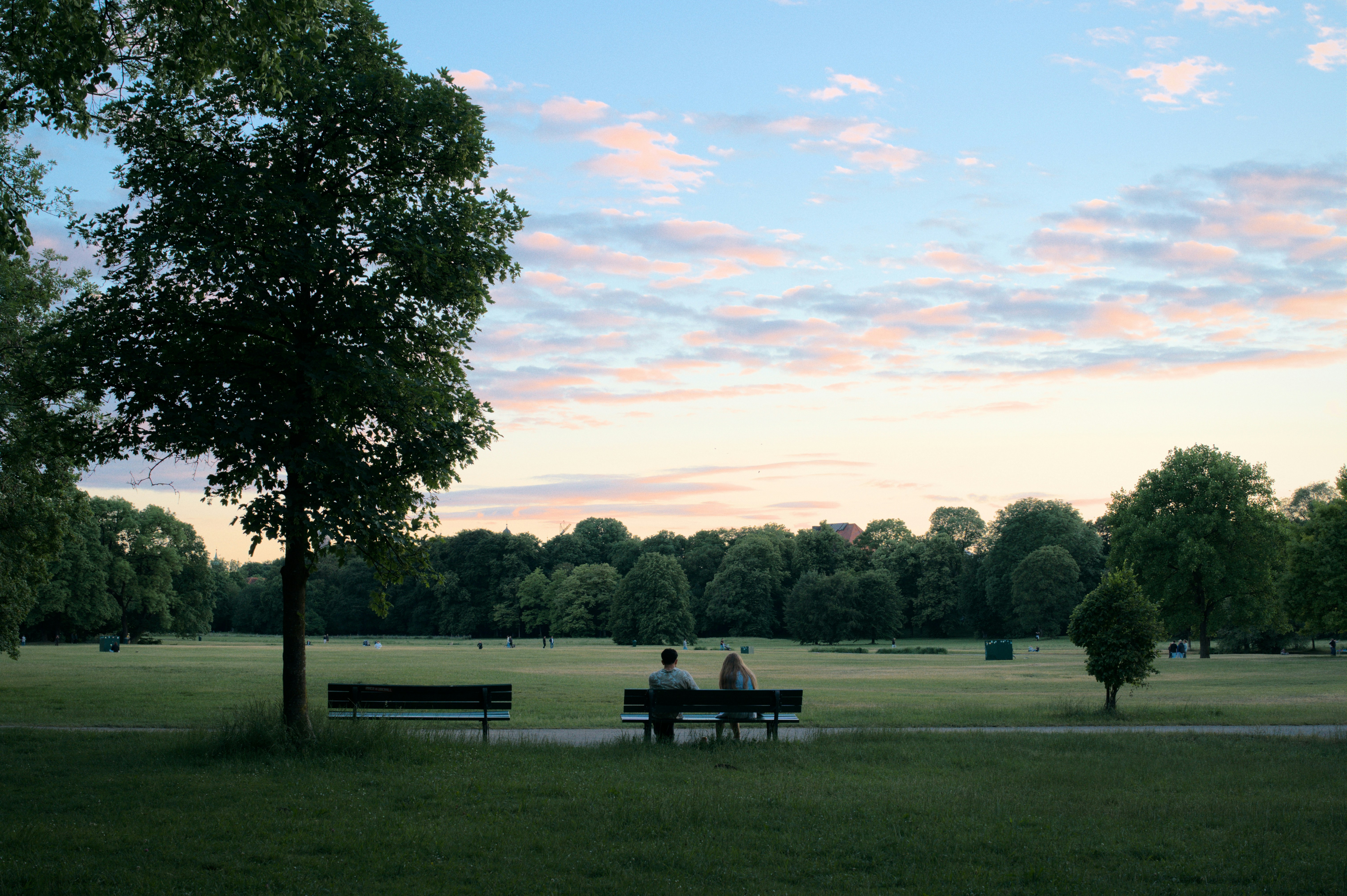 Evening Rest Under a Wide Park Sky