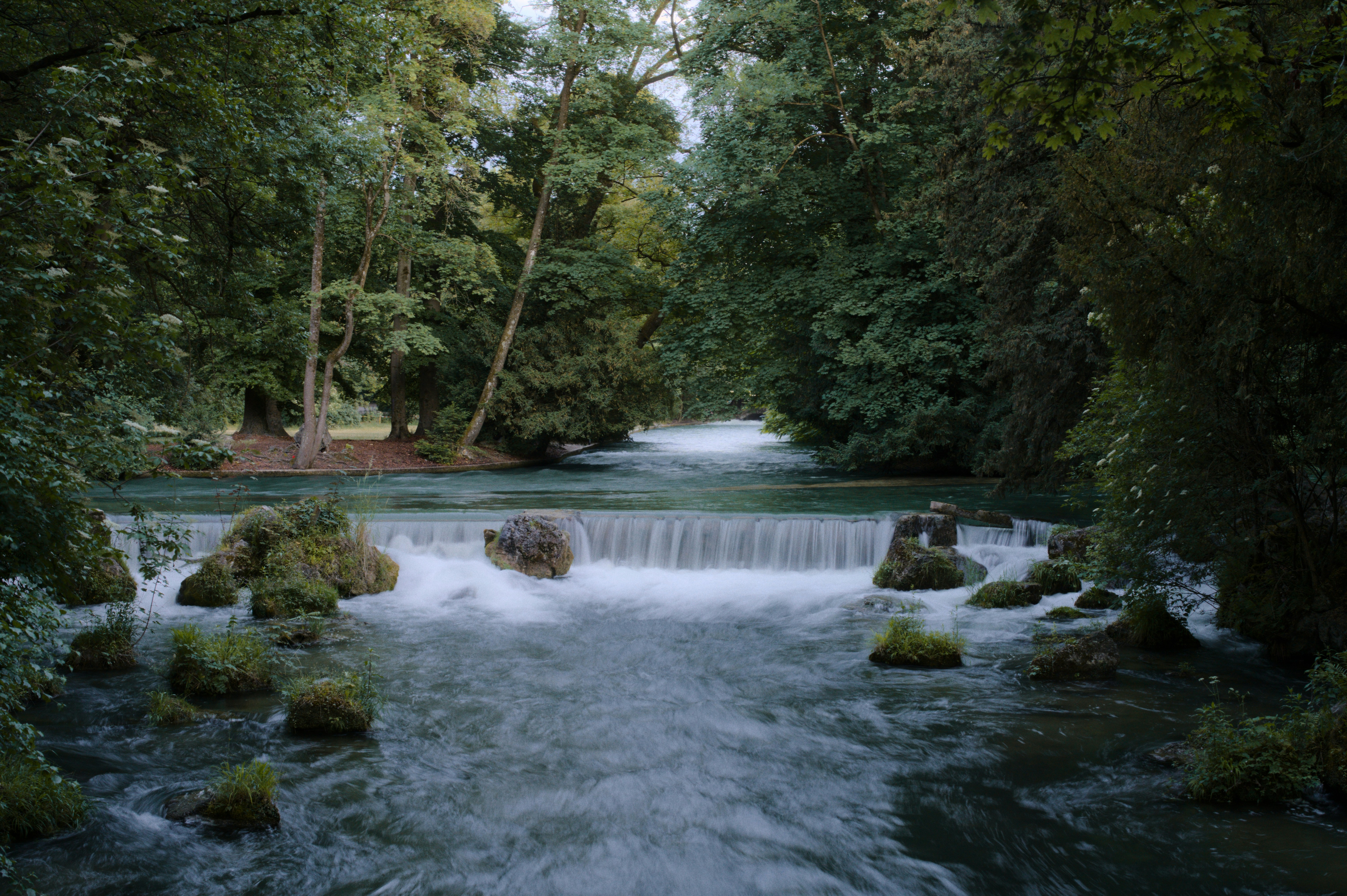 Whispering Current Through a Lush River Corridor