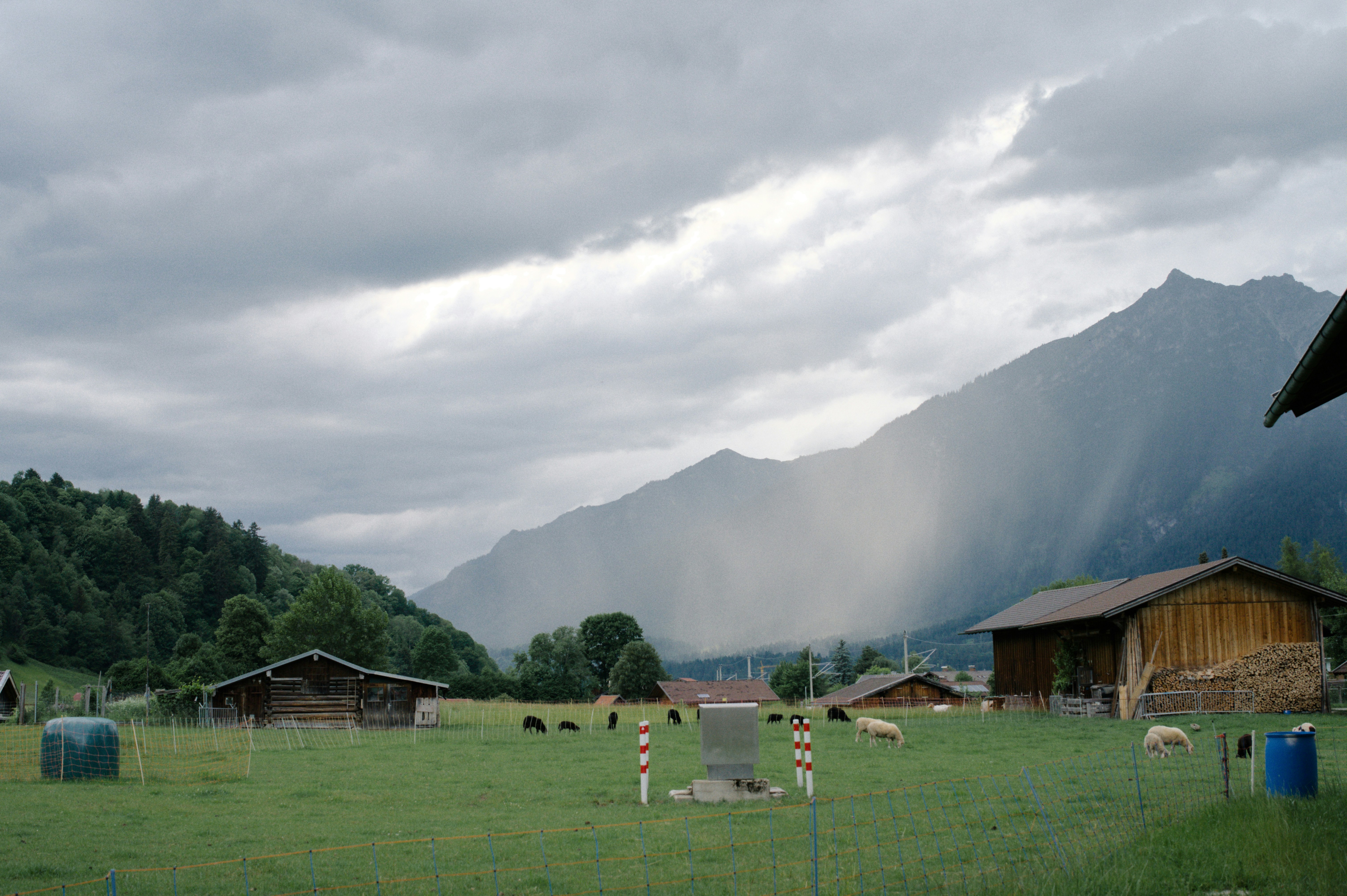 Pasture at the Edge of the Storm: A Swiss Countryside Scene