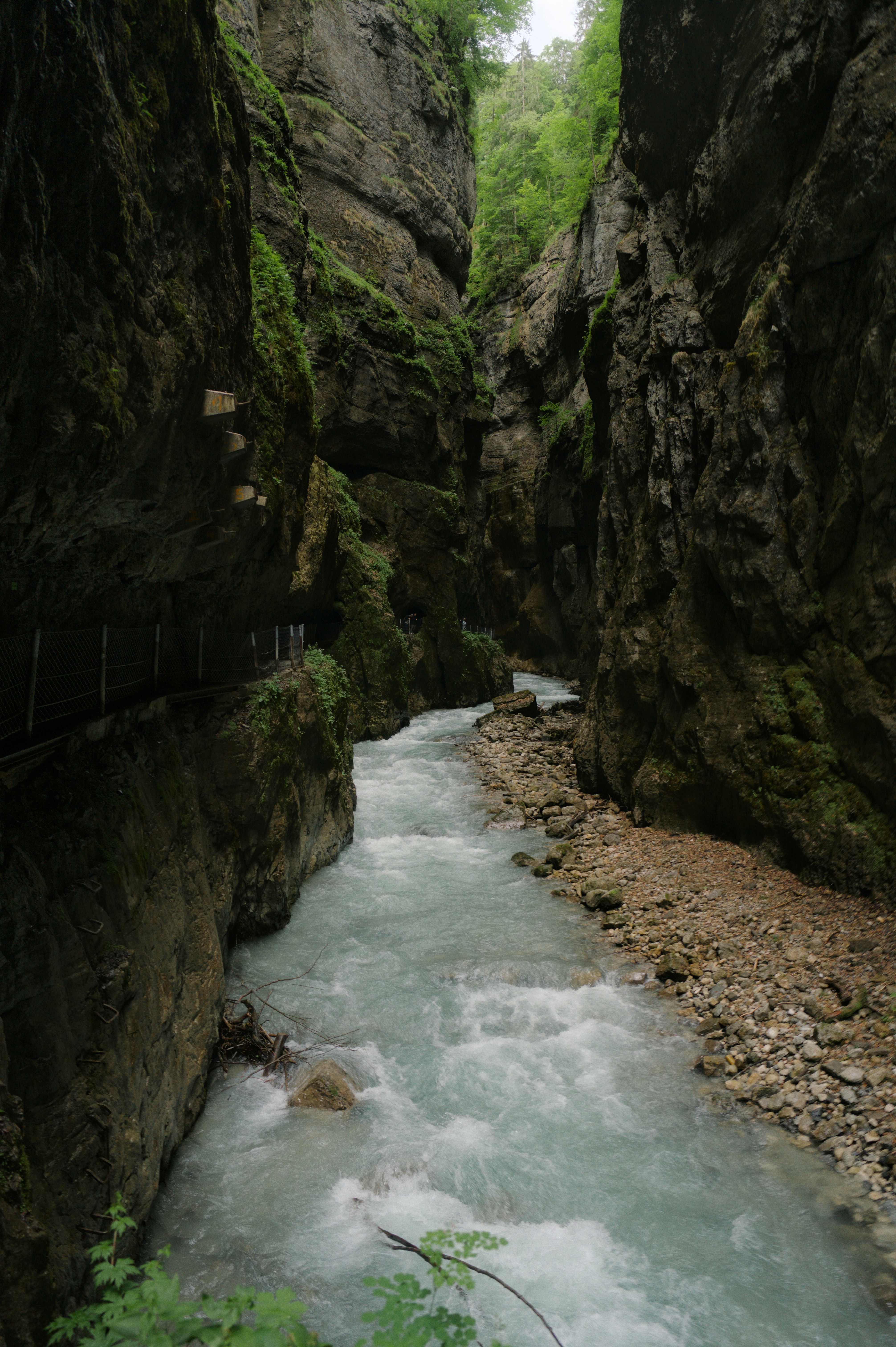 Gloomy Gorge Rush: Turquoise River Between Mossy Cliffs