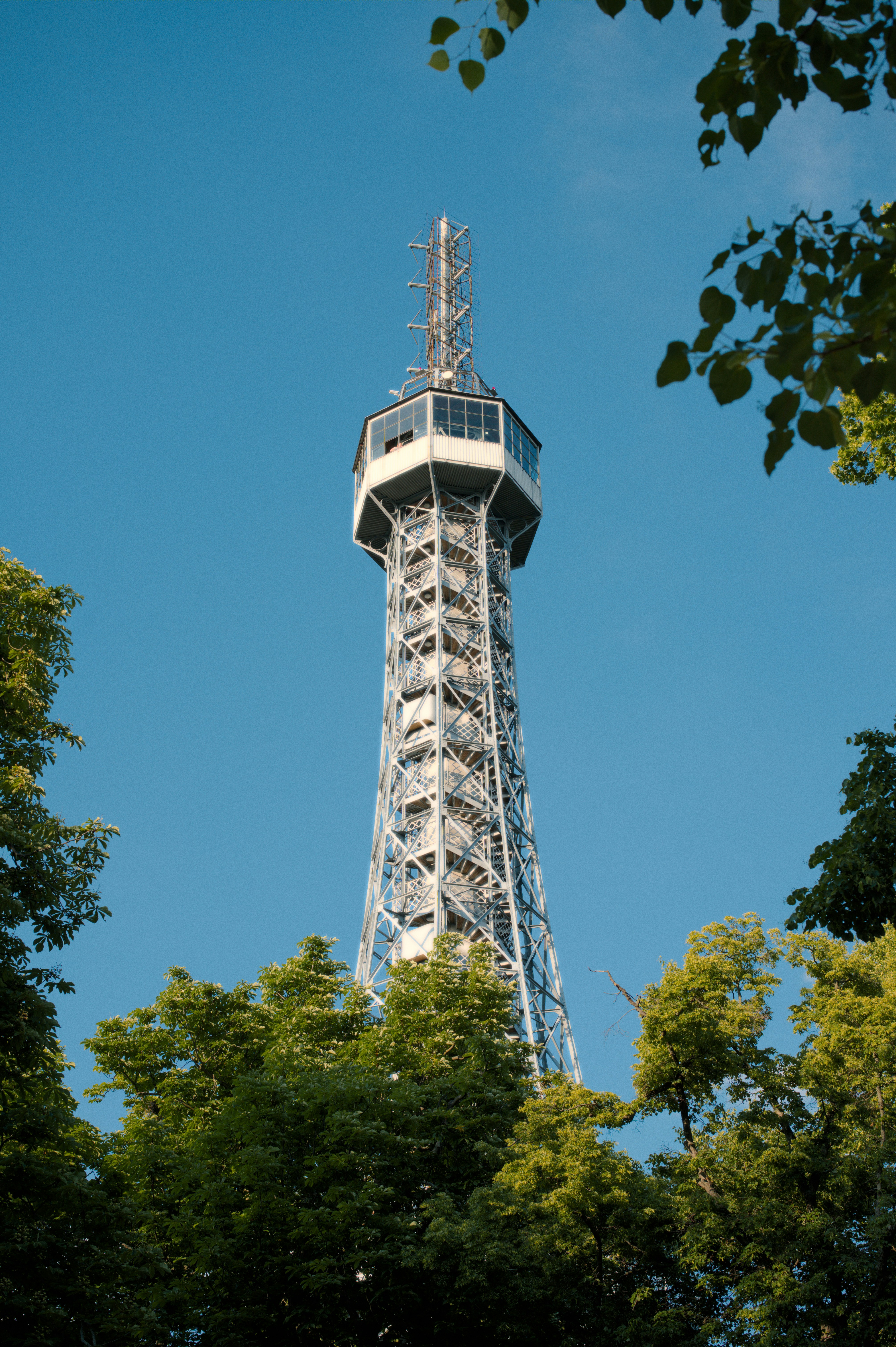 Towering Truss: A Skyward Signal Amid Green Canopy