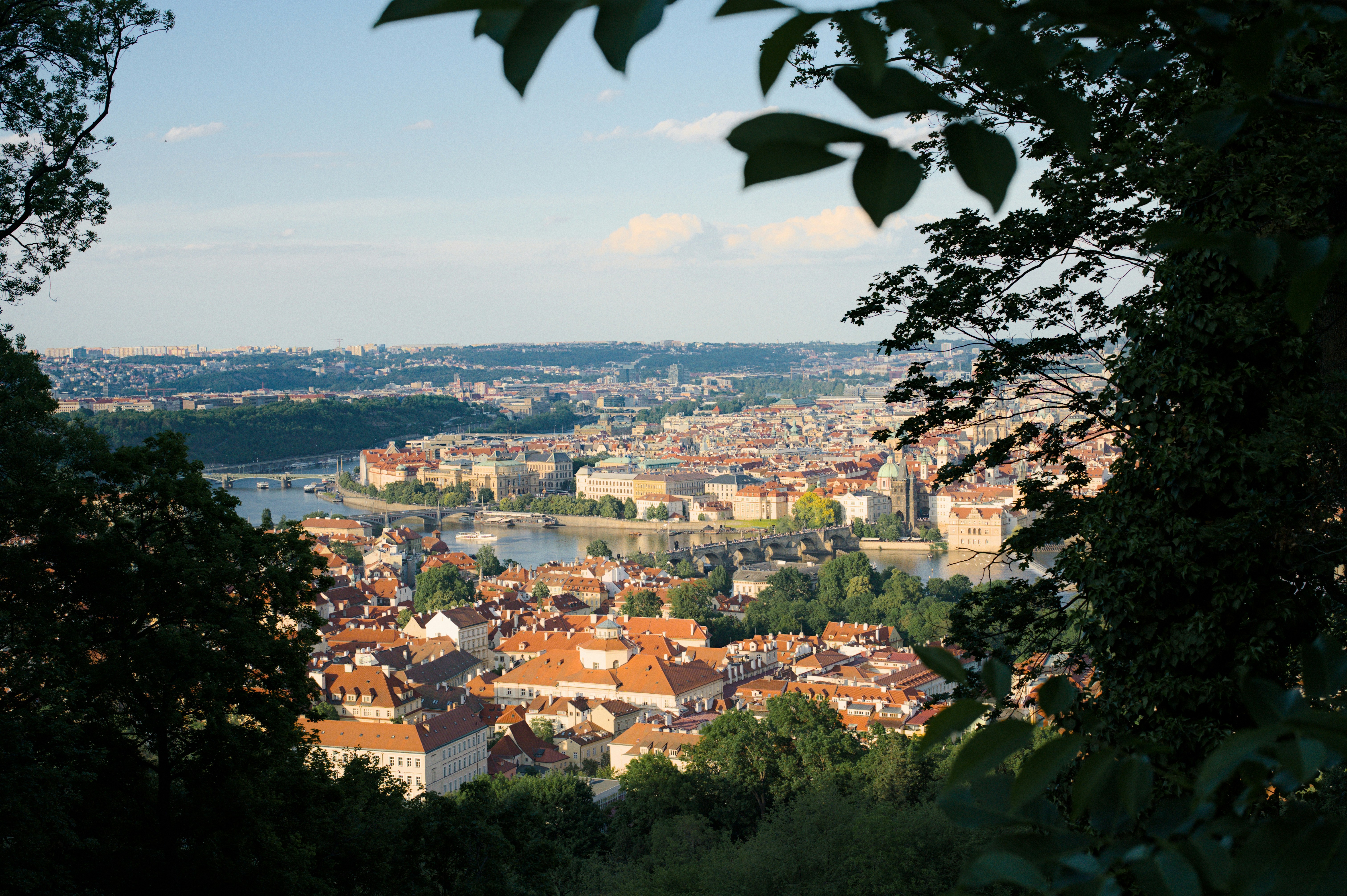 Overlook from the Lush Rim: A Valley City Framed by Foliage