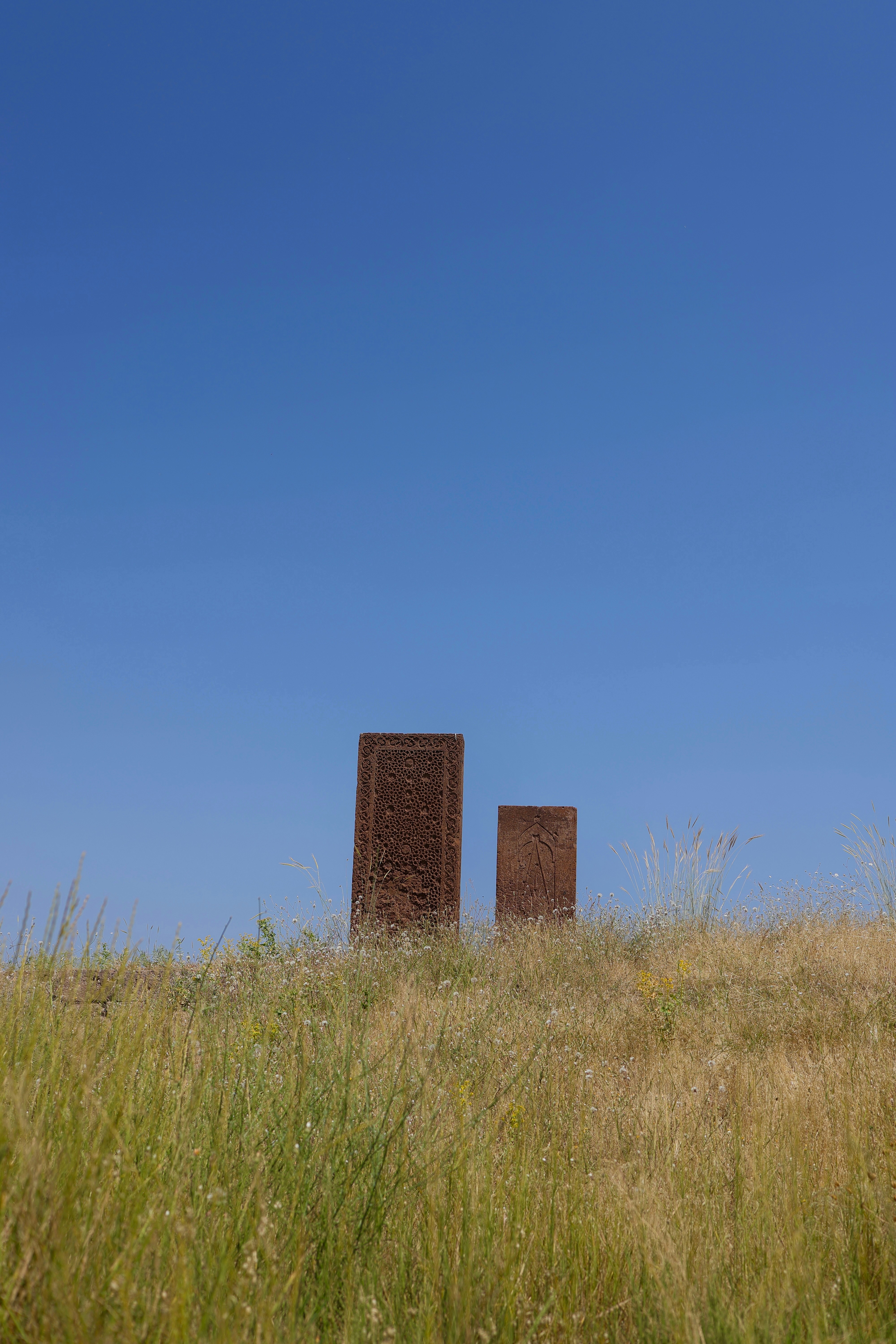 Rusty sentinels on a sunlit grass hill