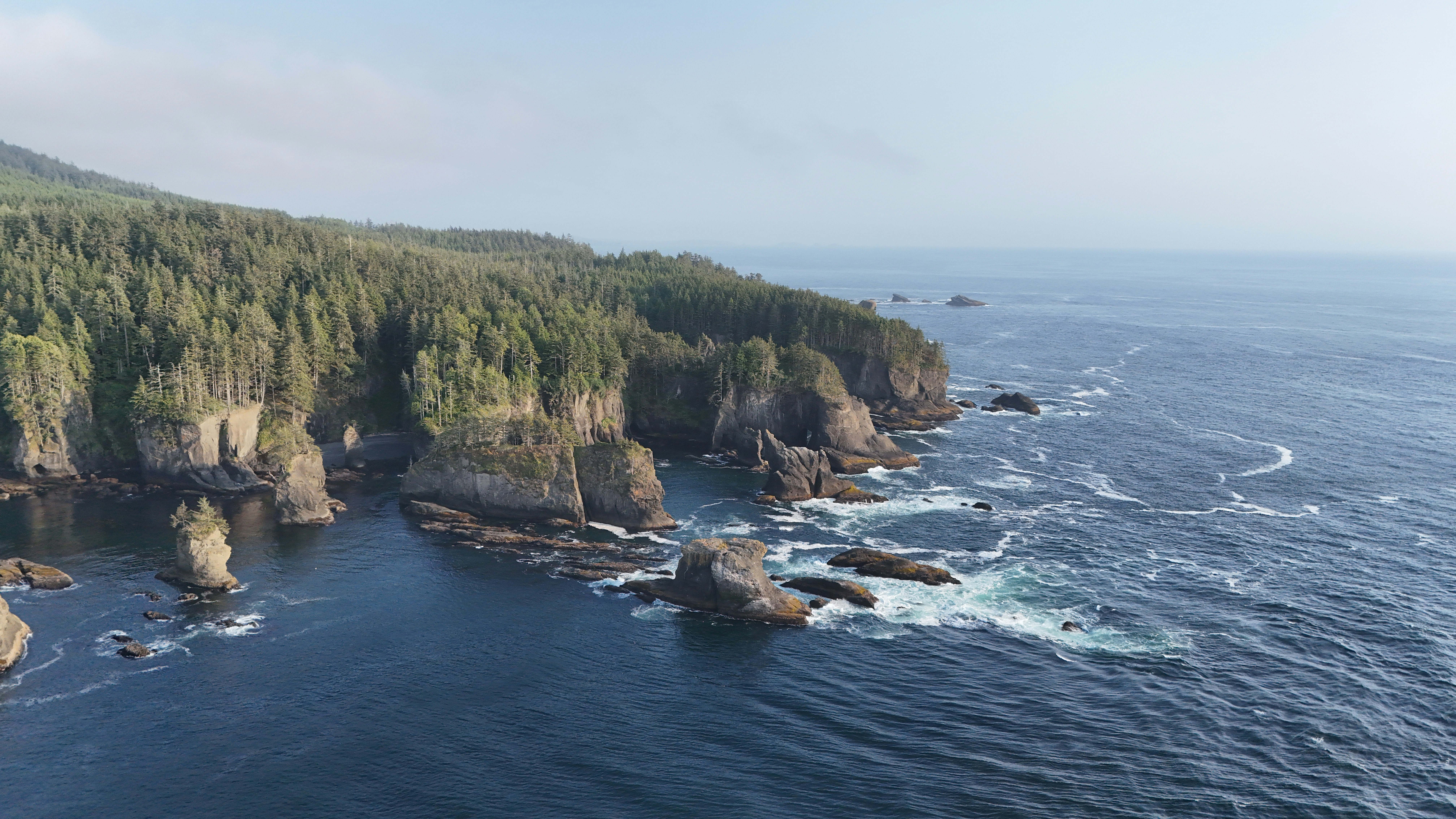 Cliffside Forest Meets the Infinite Sea