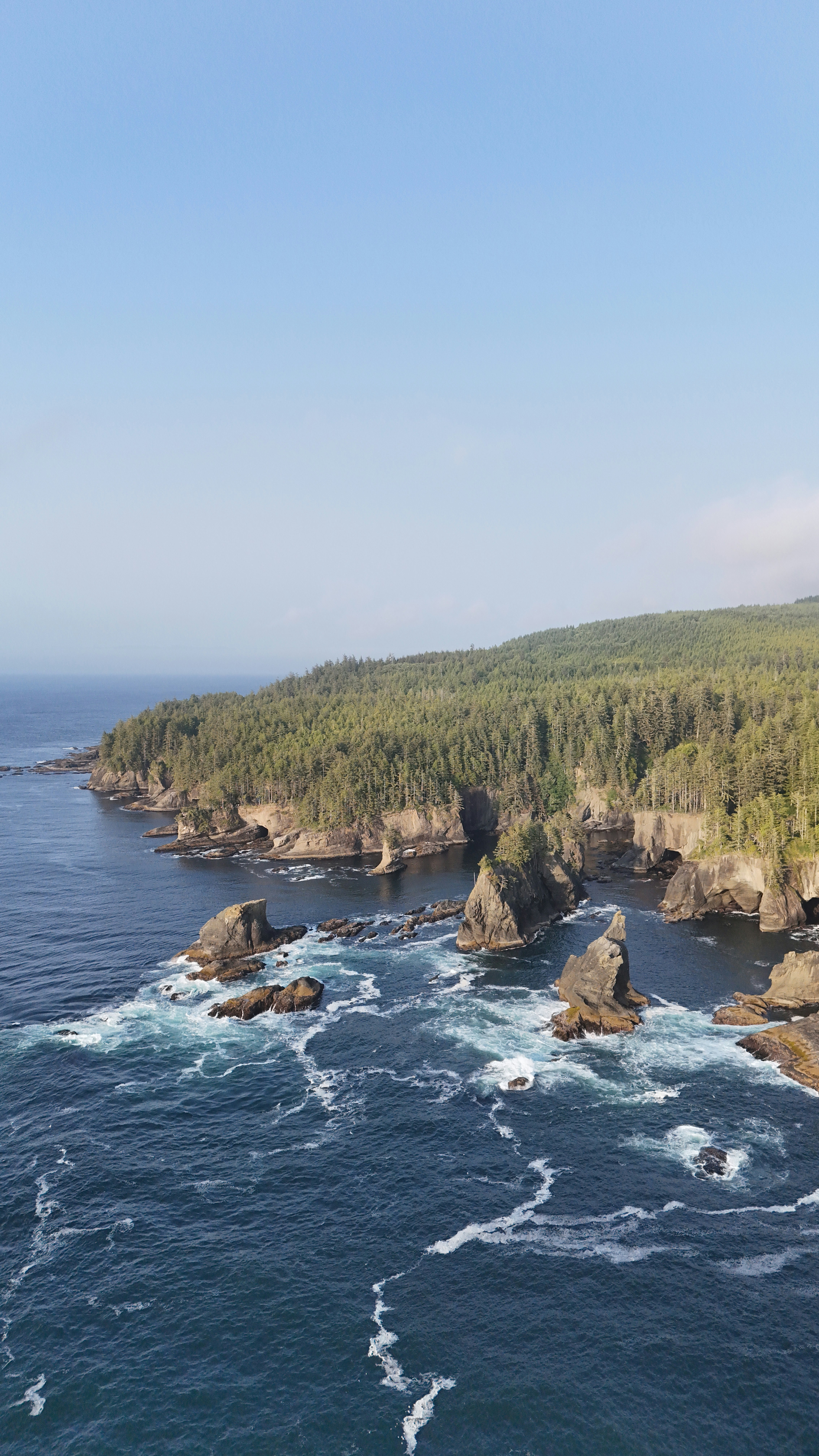 Coastal Spine: A Forested Headland Dividing Turquoise Waves