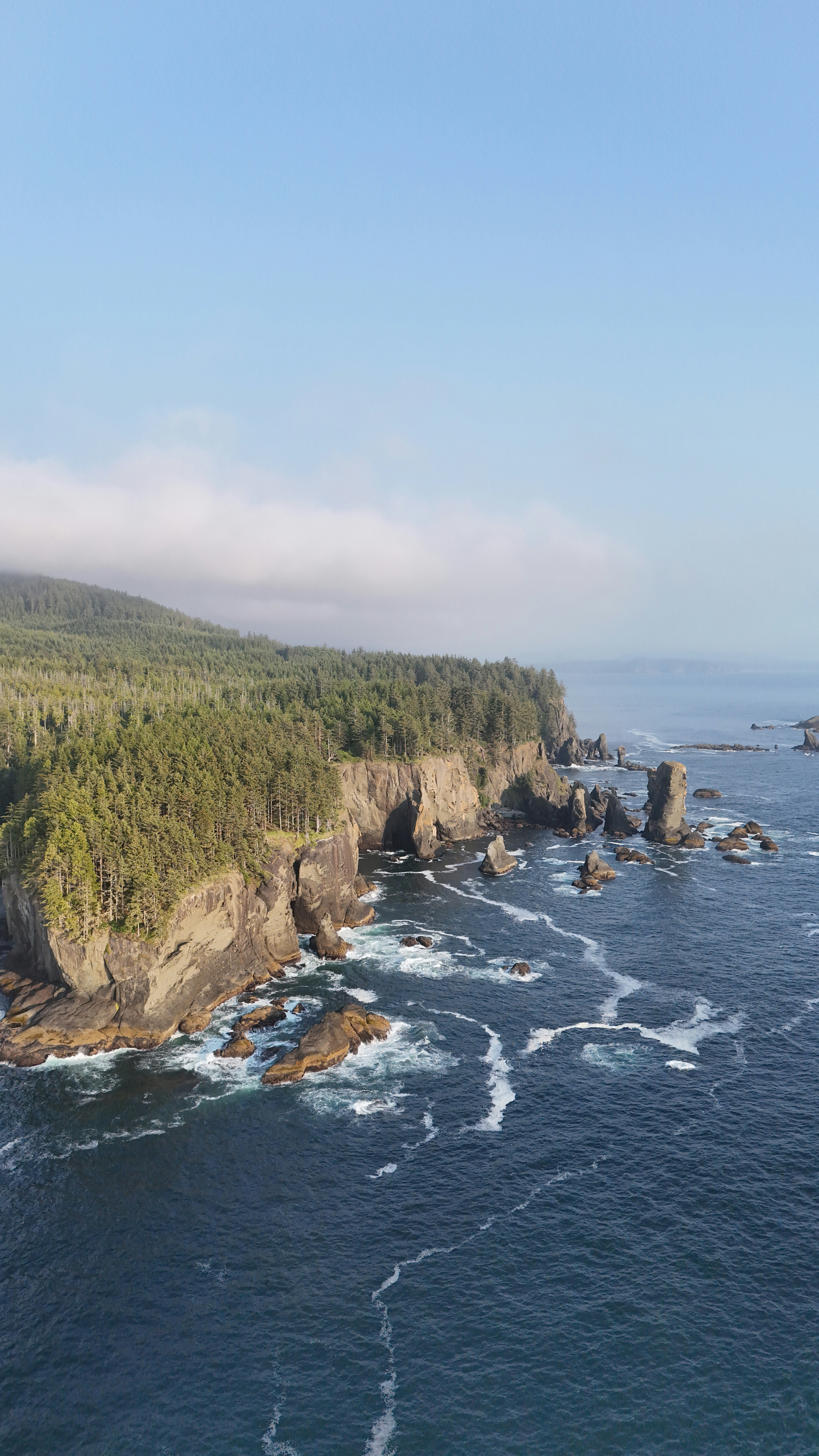 Cliffside Vistas: A Dawn Over the Pacific Edge