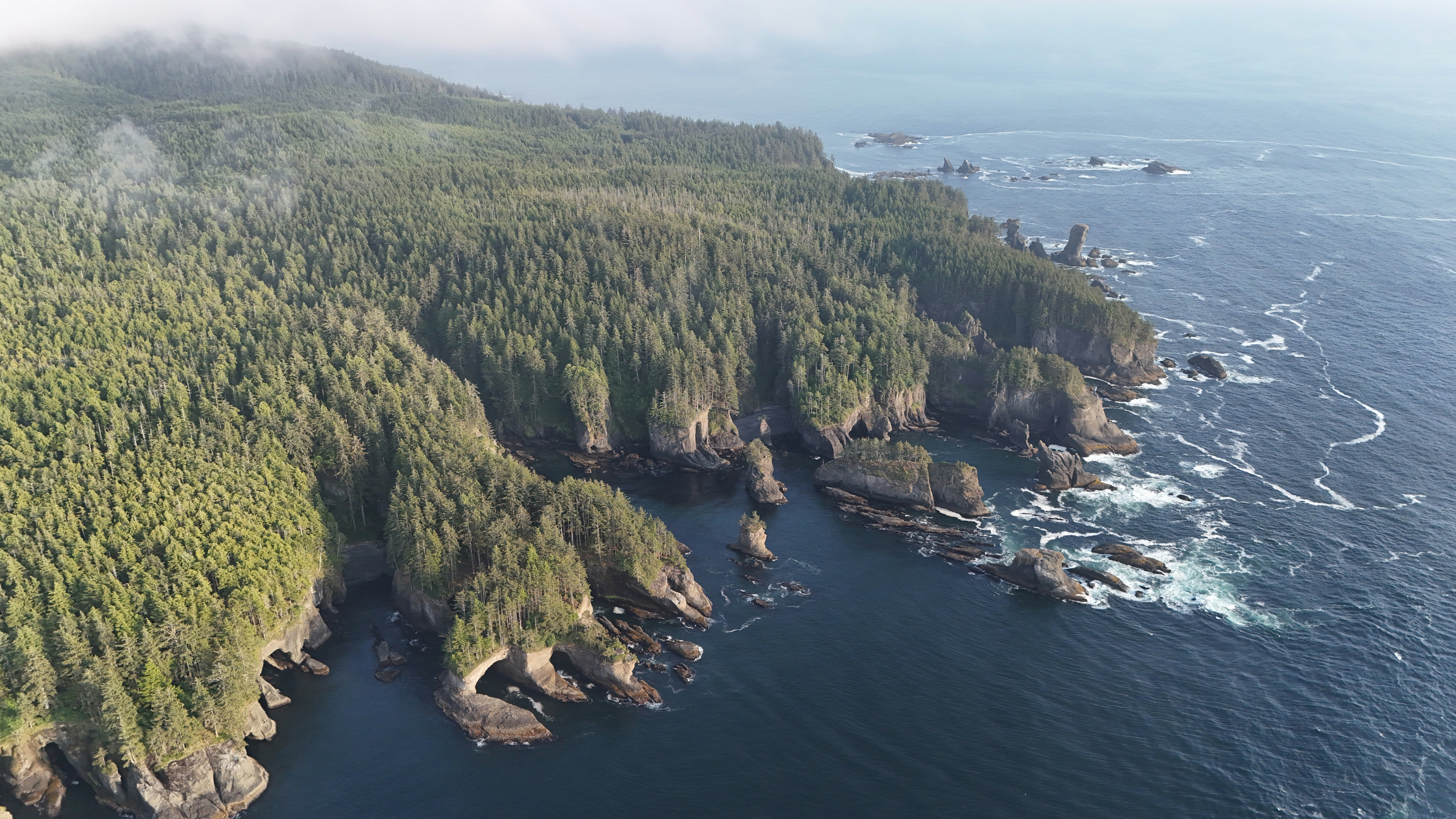 Cascading Cliffs and Pacific Edge