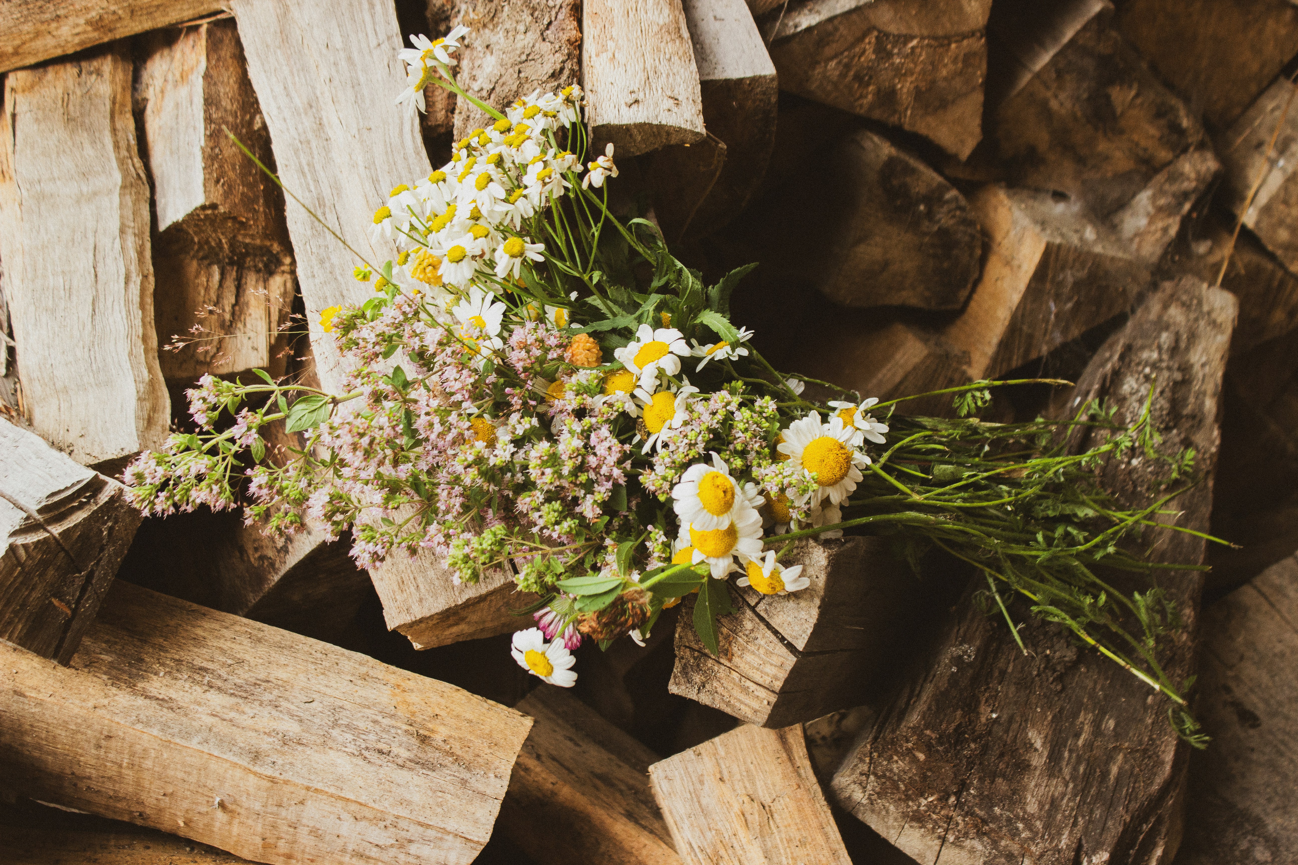 Bouquet of Wild Chamomile and Meadowflowers Resting on Bowed Firewood