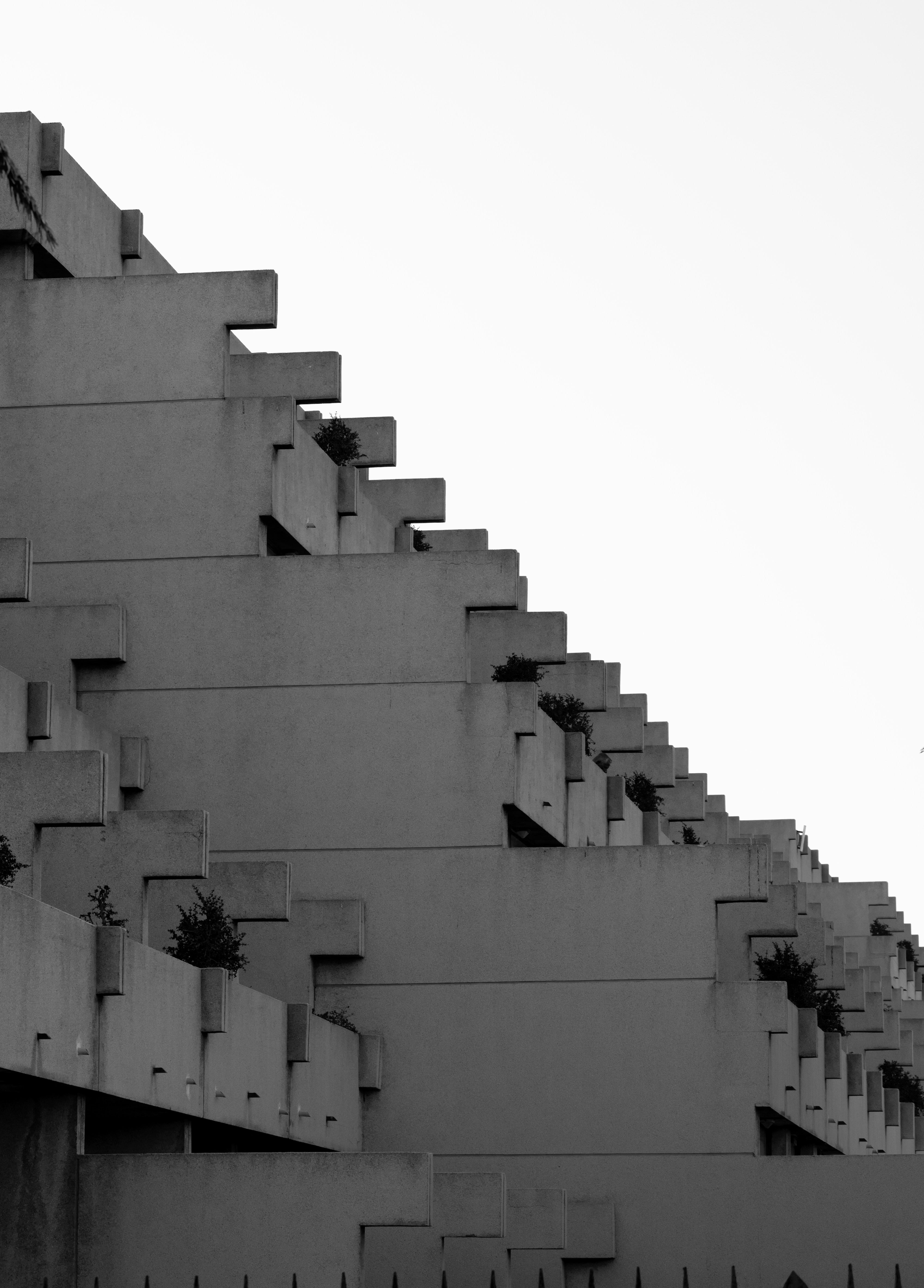 Monochrome view of stepped concrete architecture forming a repeating geometric pattern converging toward the horizon.