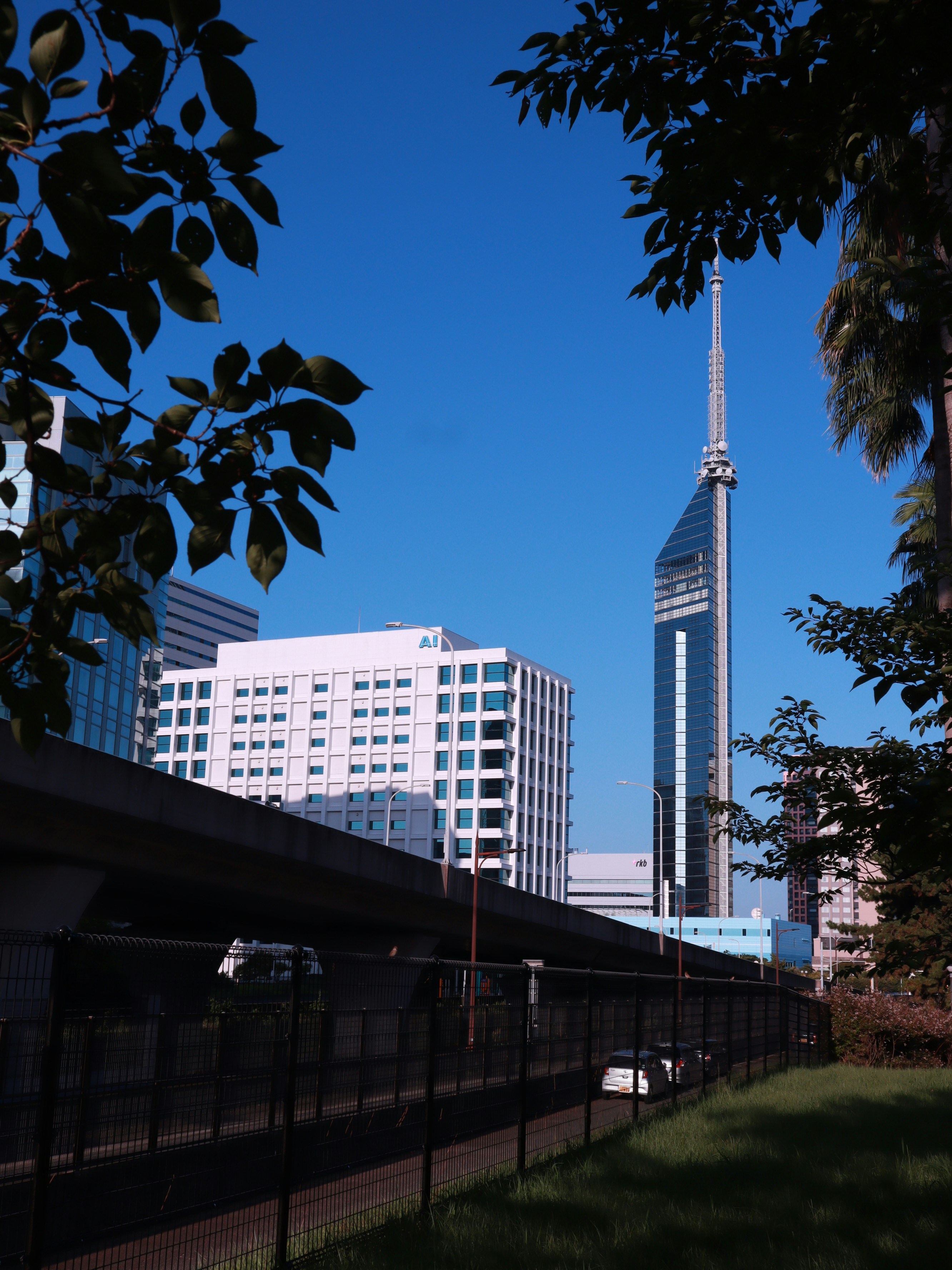 Towering Skyline: A Lens toward the City’s Needle