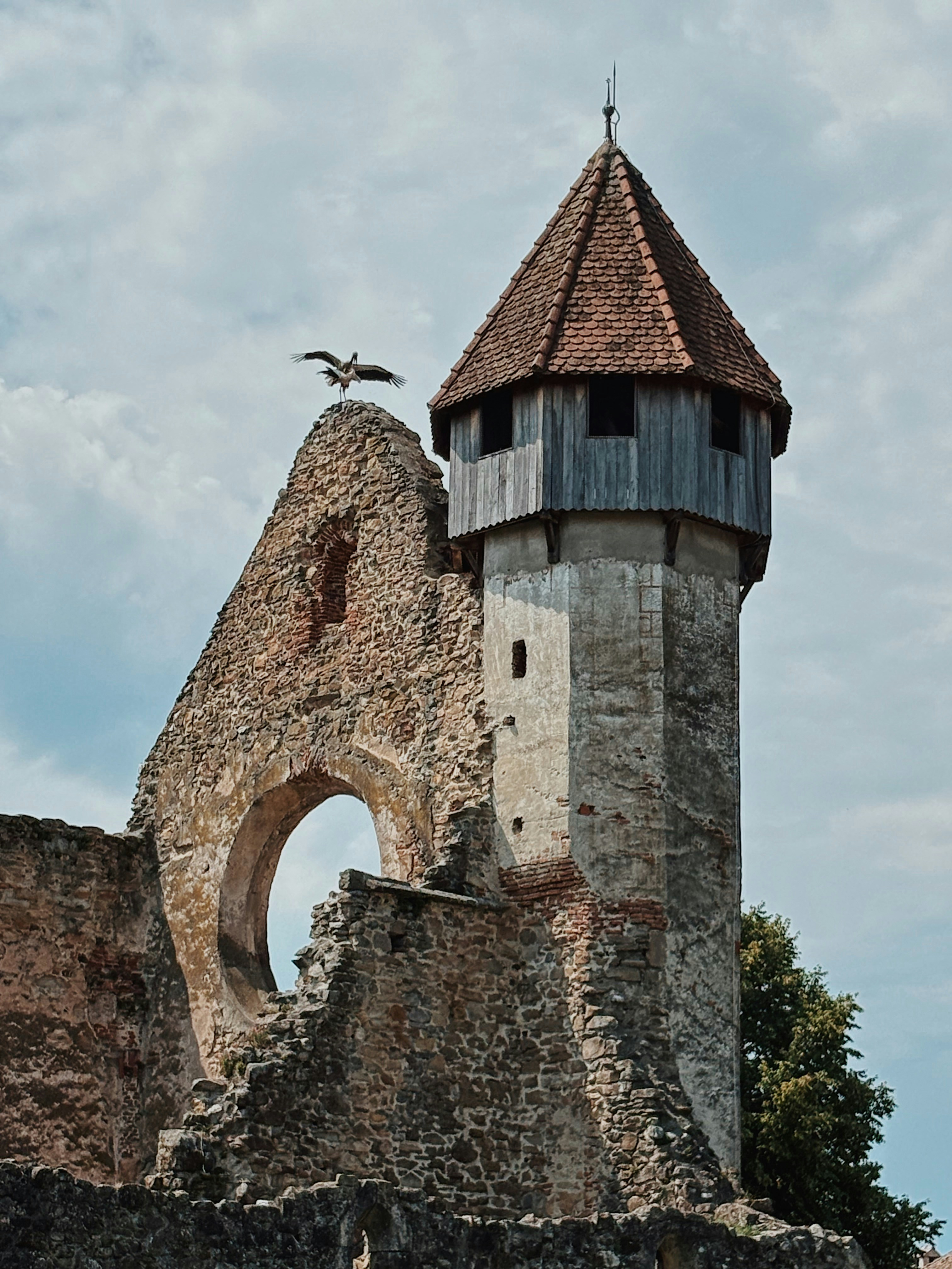 The Guarded Arch and Towered Curtain