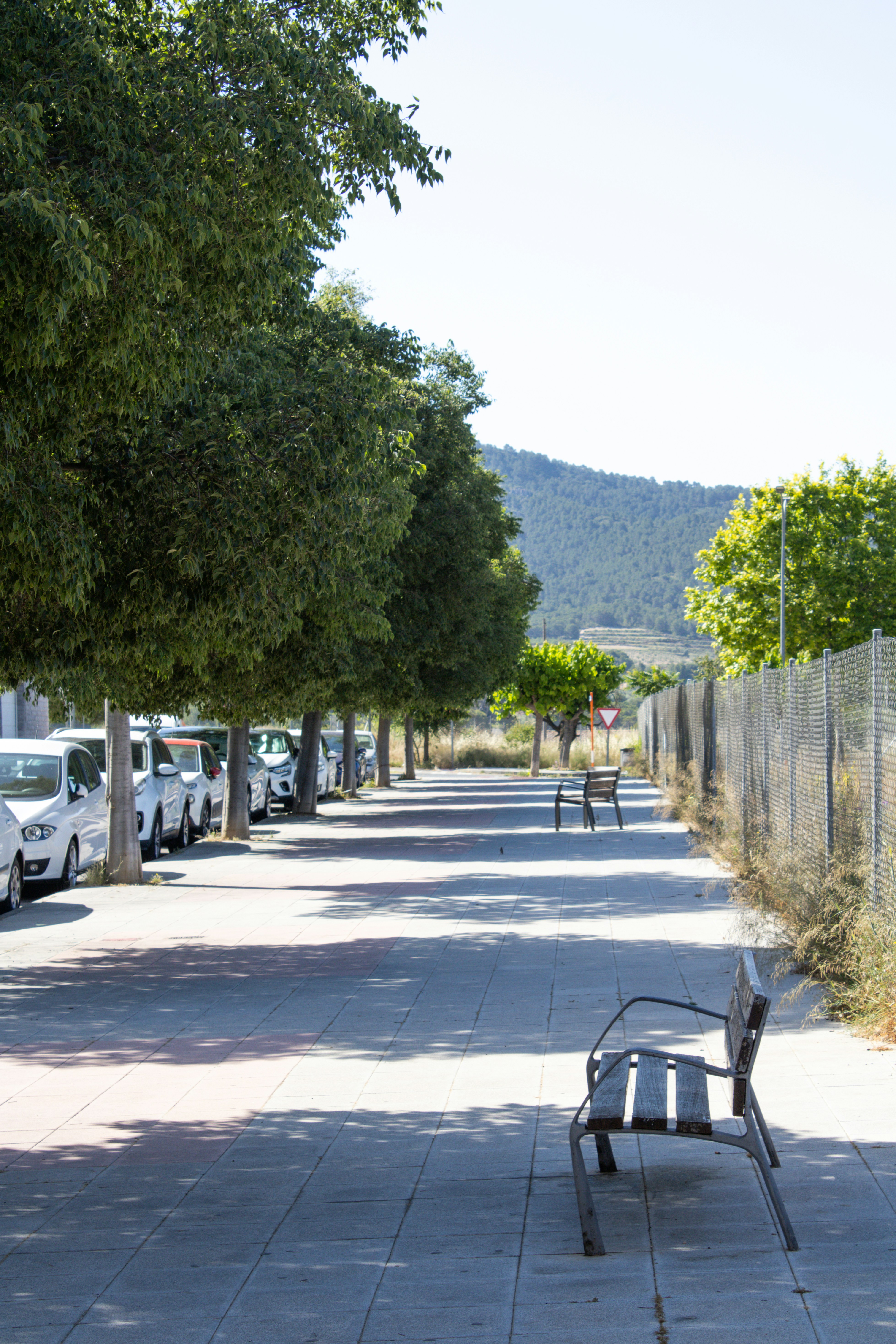 Sunlit Riverside Promenade with Empty Benches