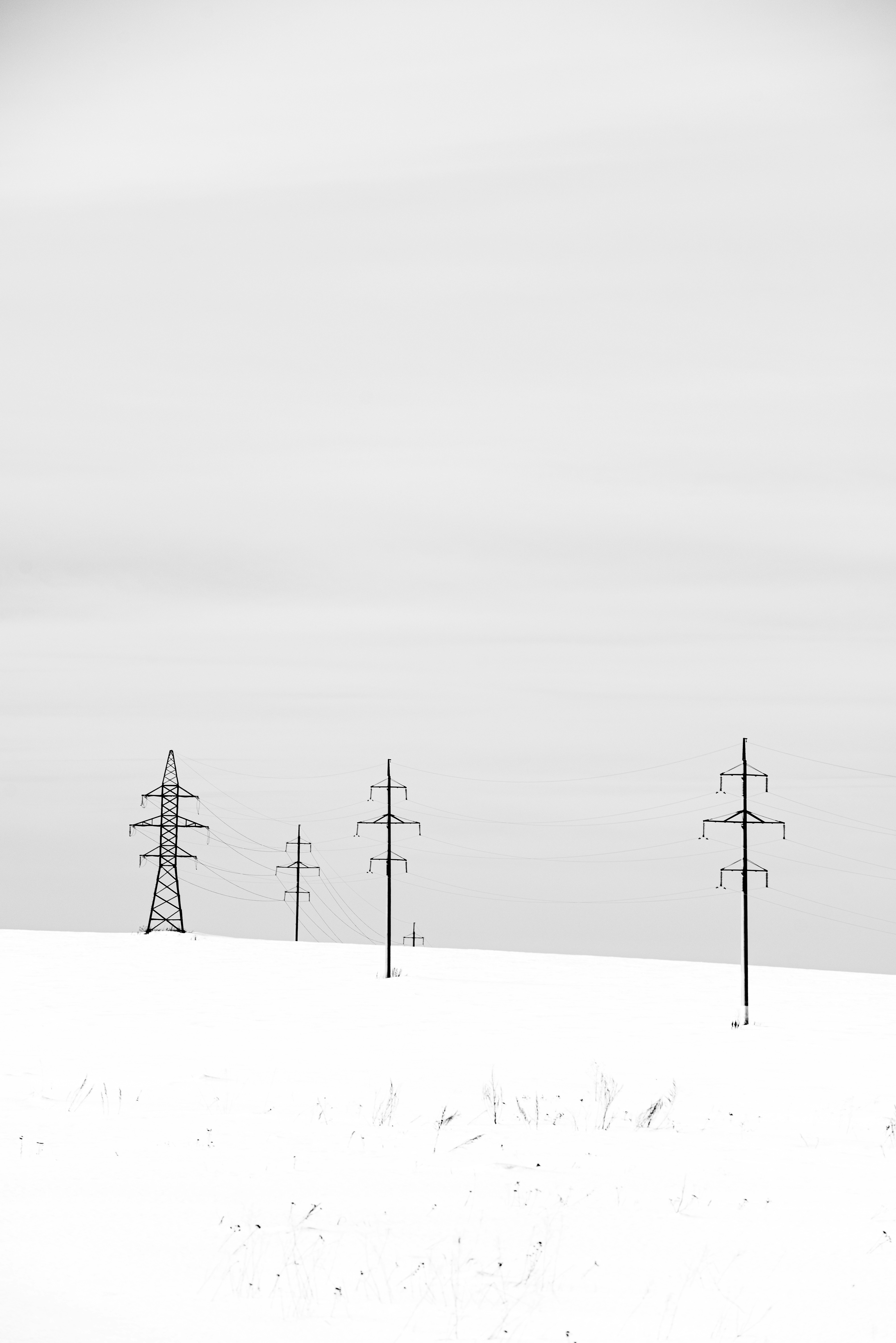 Towers on Quiet Snow: Lines against a Pale Sky