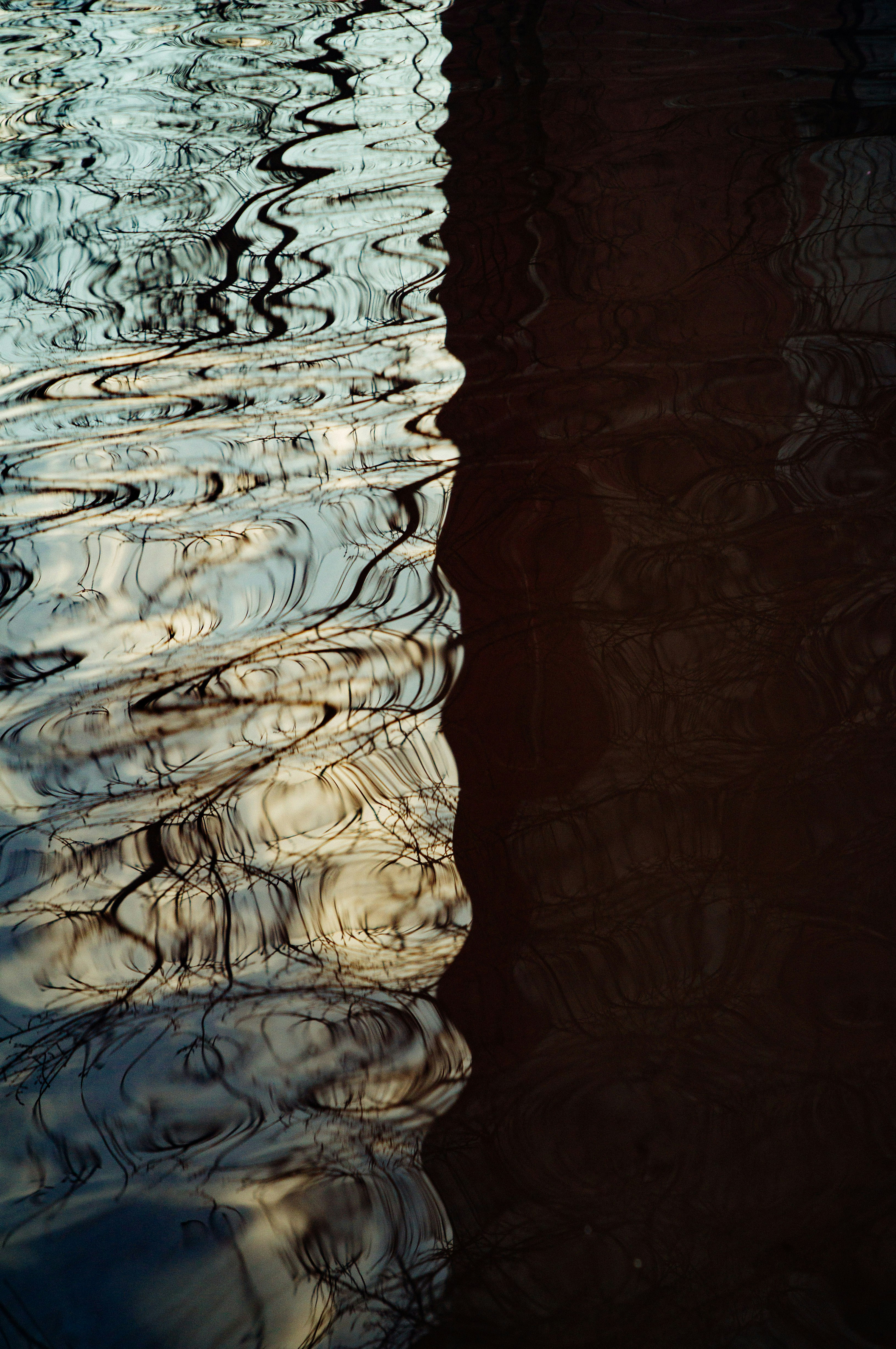 Rippling Reflections: A Quiet Boundary Between Light and Shadow