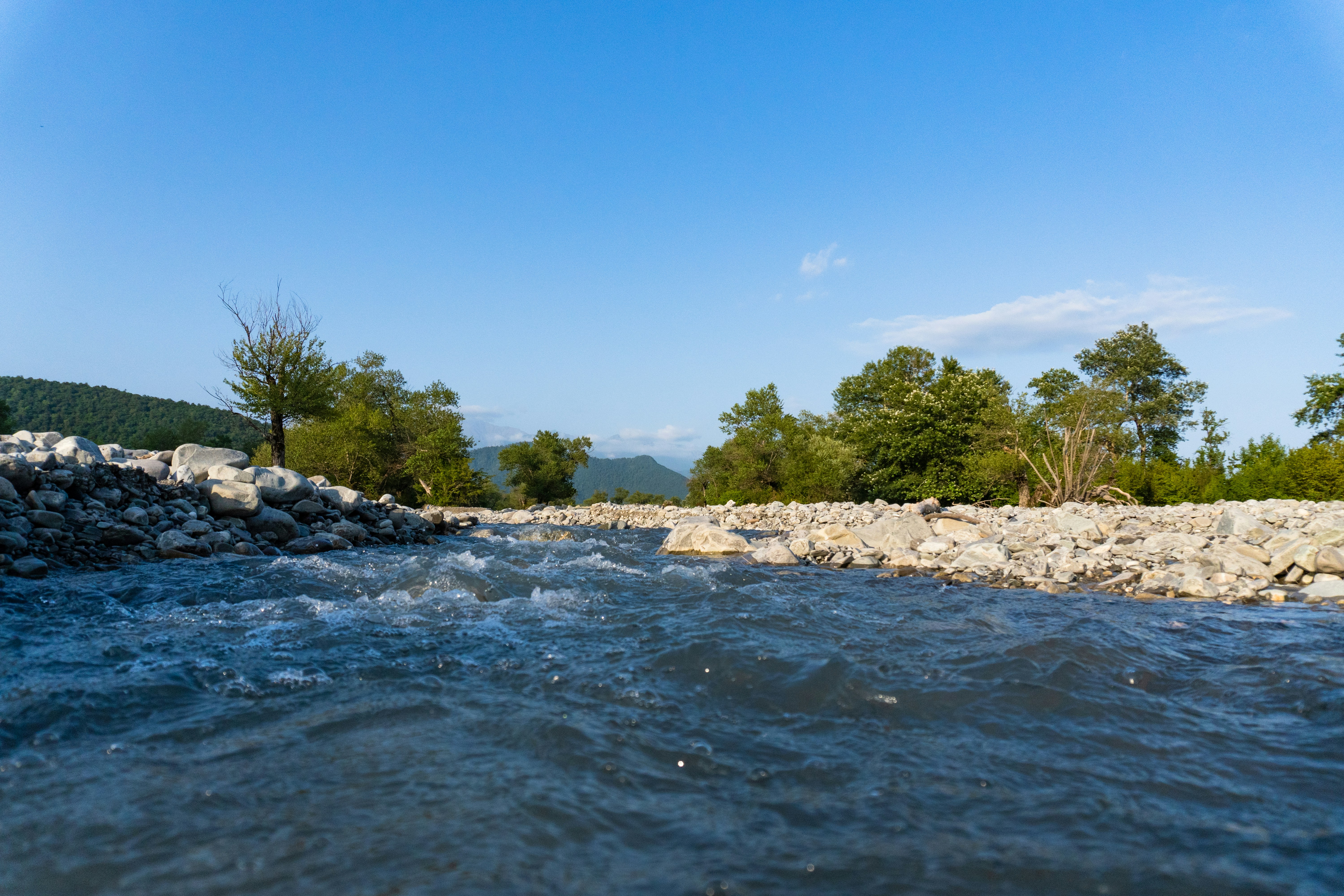 River at the Stonebank: A Quiet Confluence Under a Clear Sky