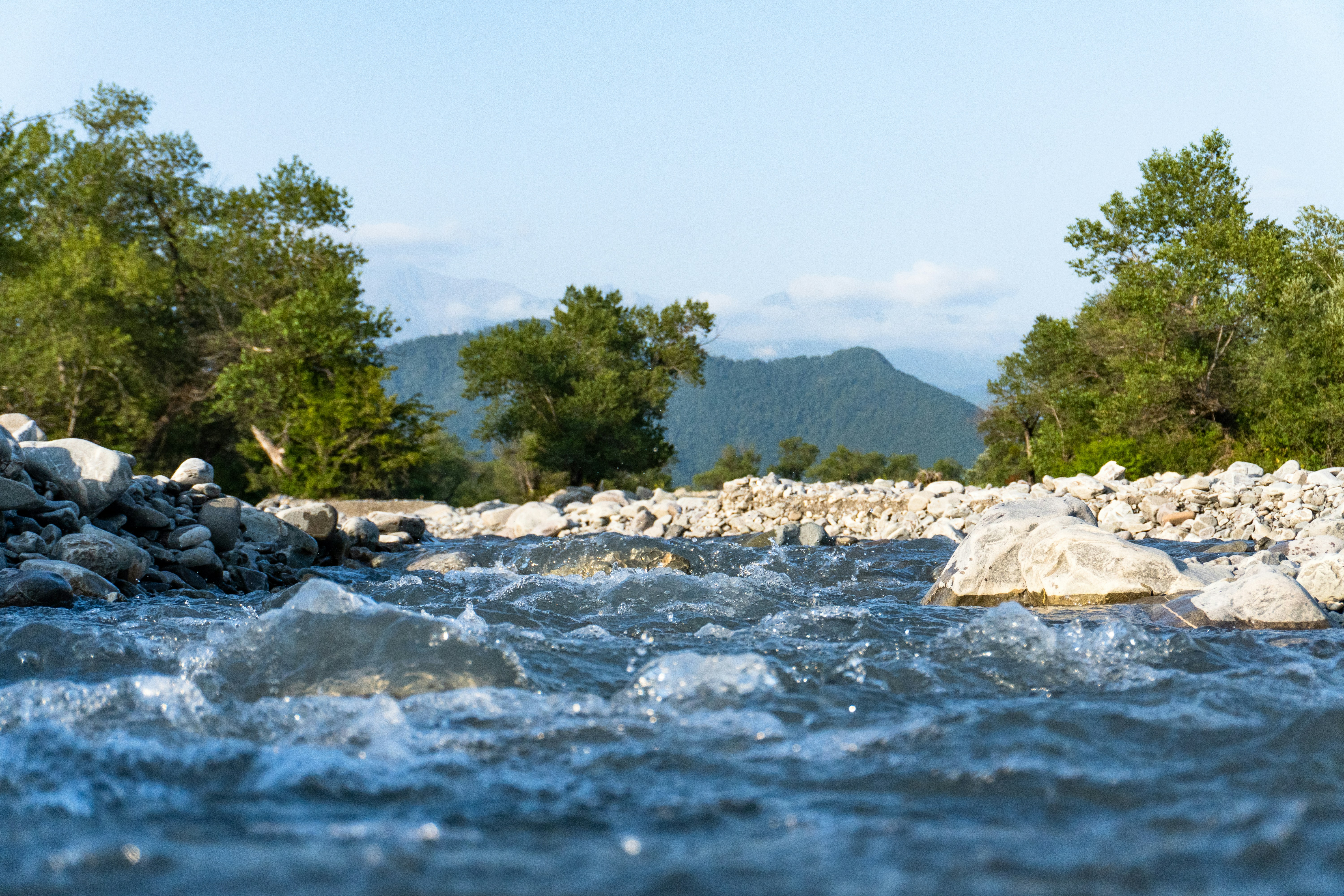 River Rapids at the Foot of Pine-clad Peaks