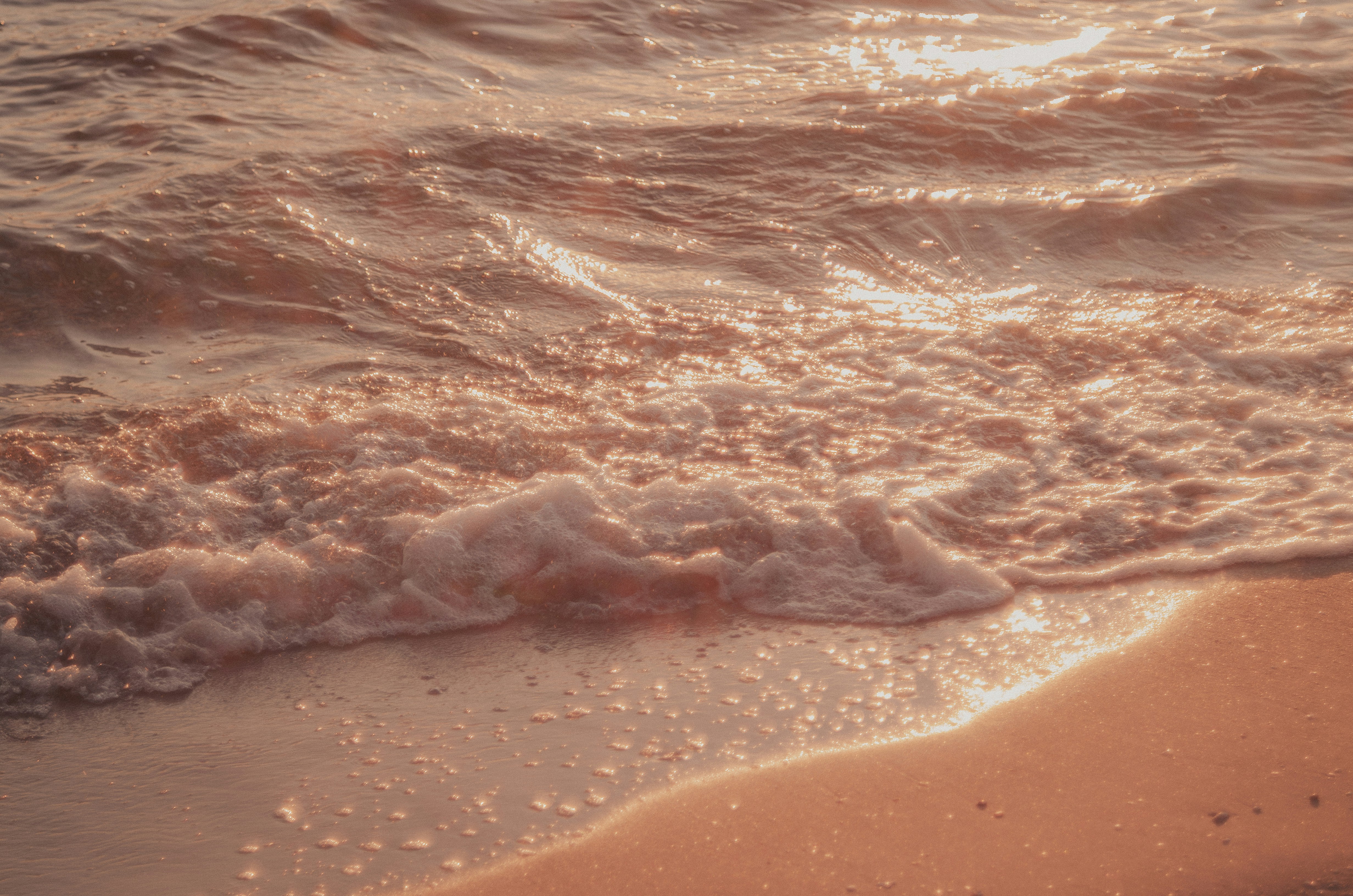 Sunlit Beach Foaming Edge