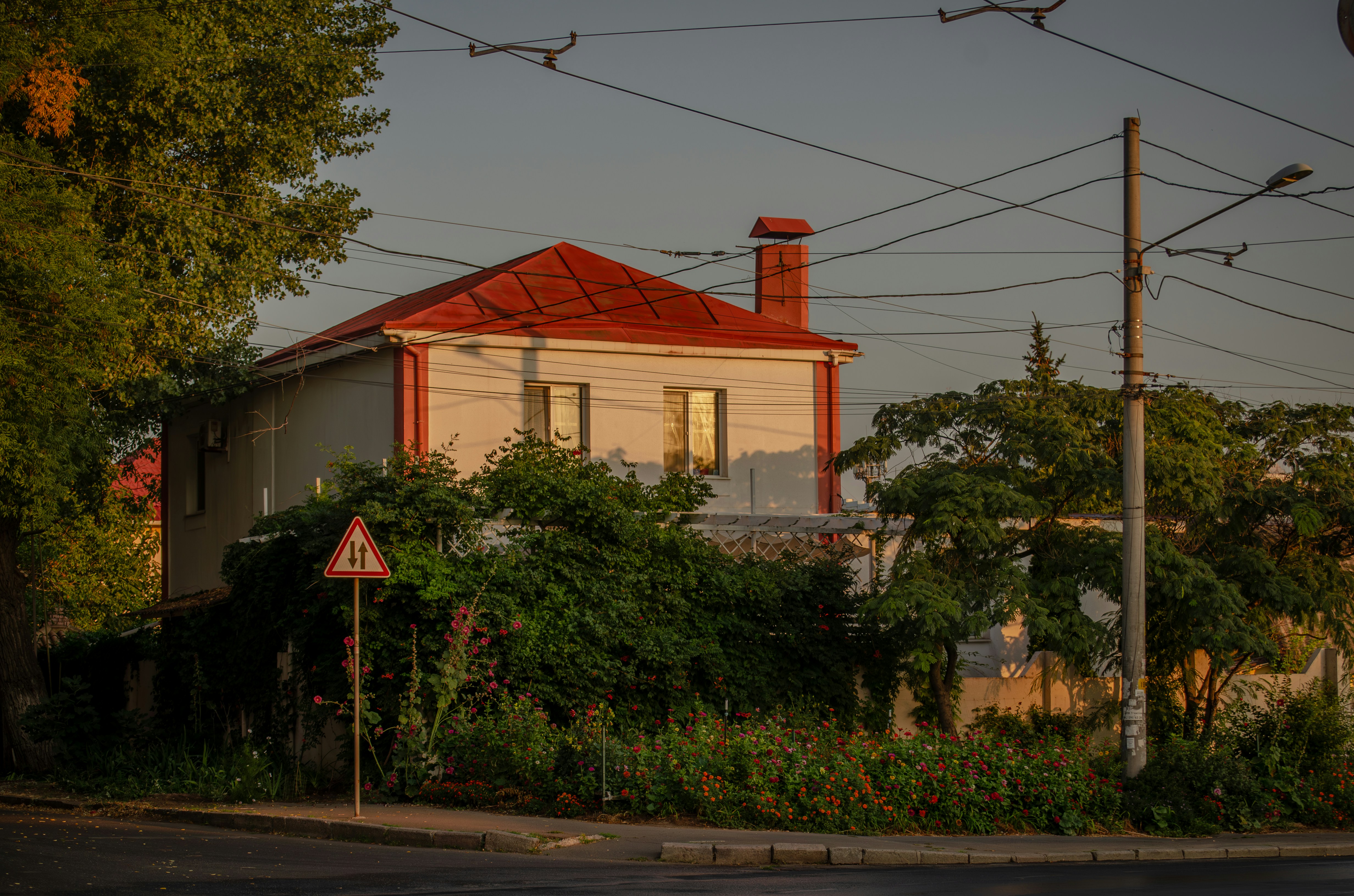 Sunlit House Amid Overgrown Garden on a Quiet Street