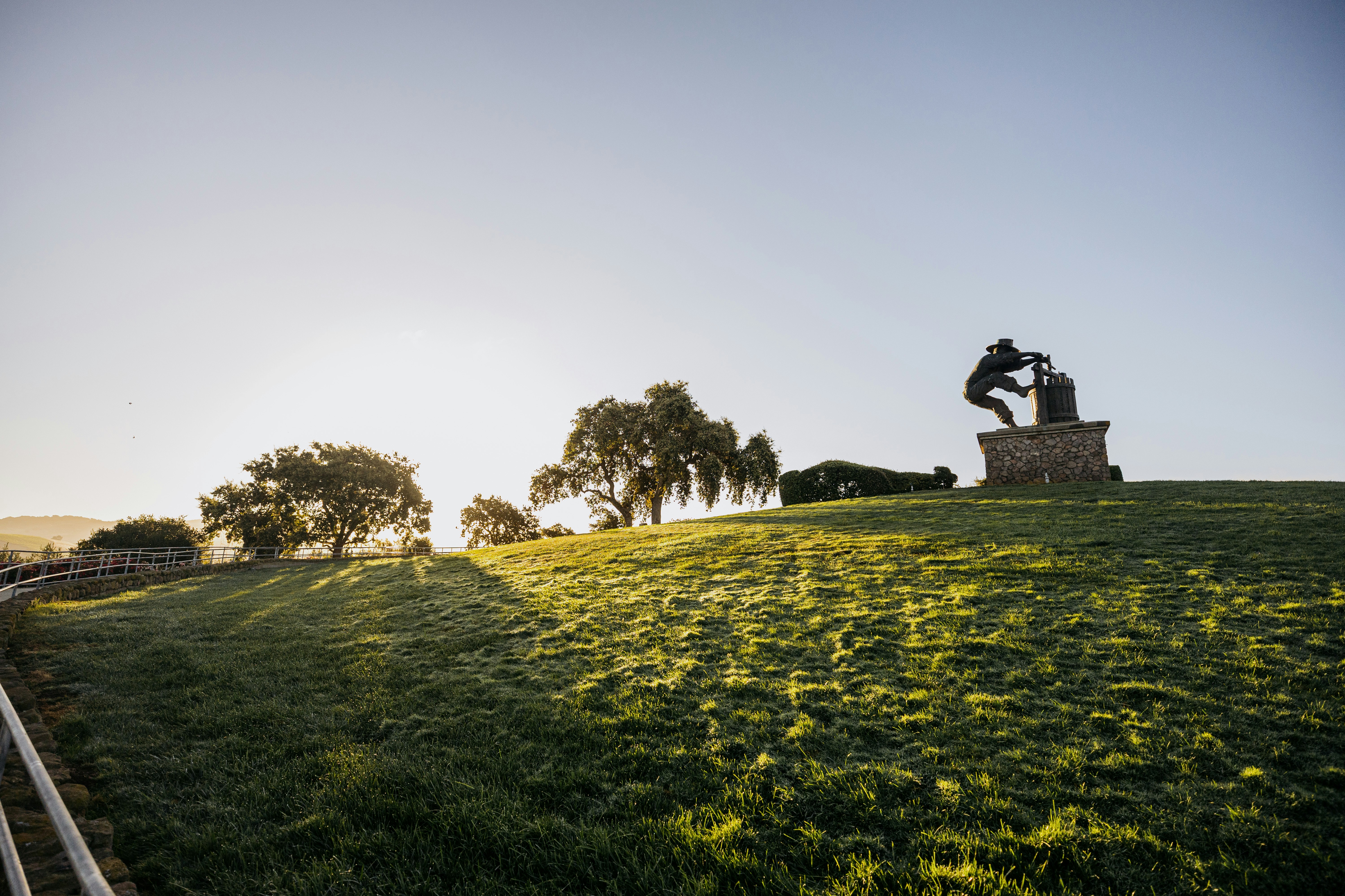 Hilltop Runner: A Sculptural Monument Against the Sunlit Crest