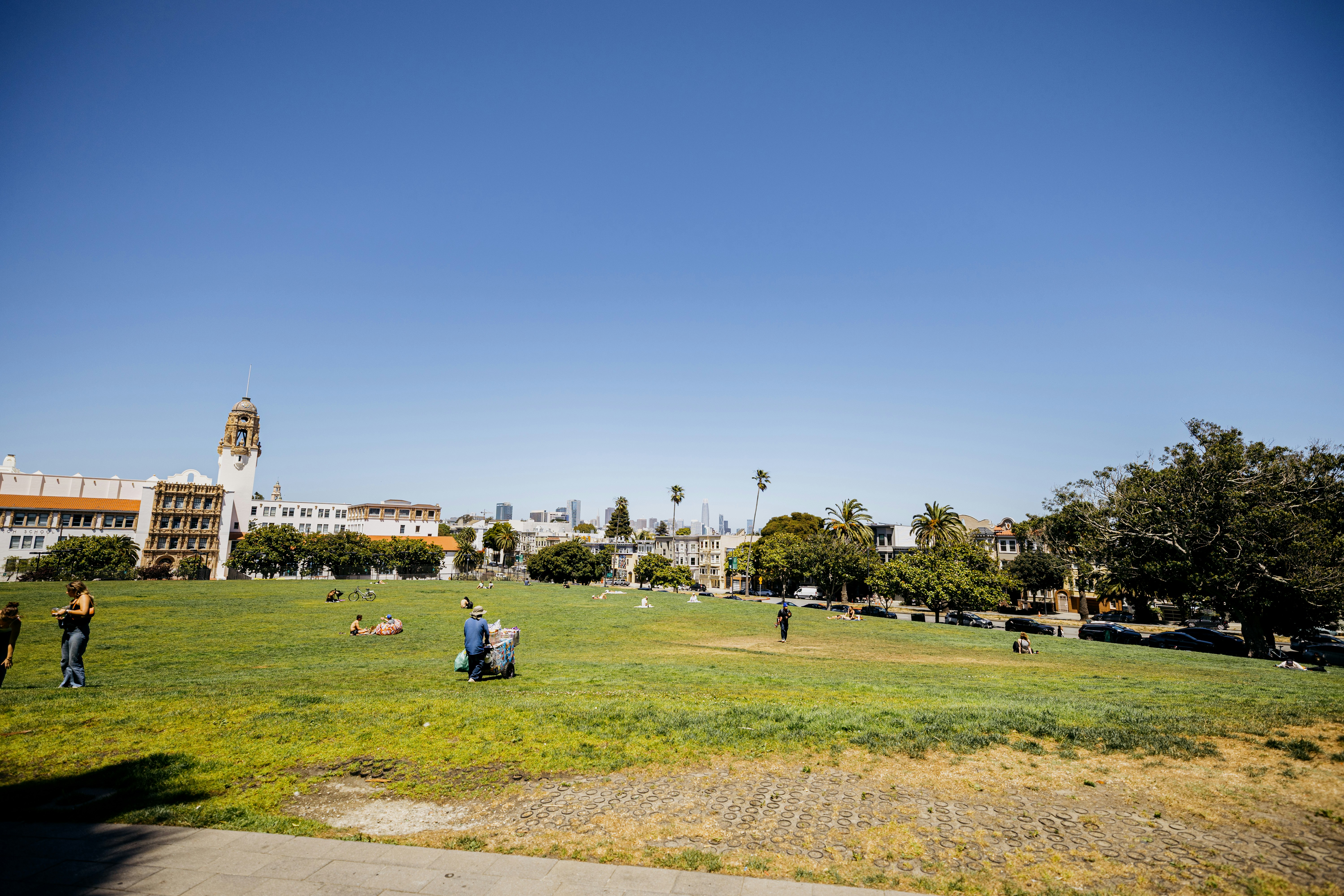 Sunlit City Park: A Calm Afternoon Under a Clear Sky