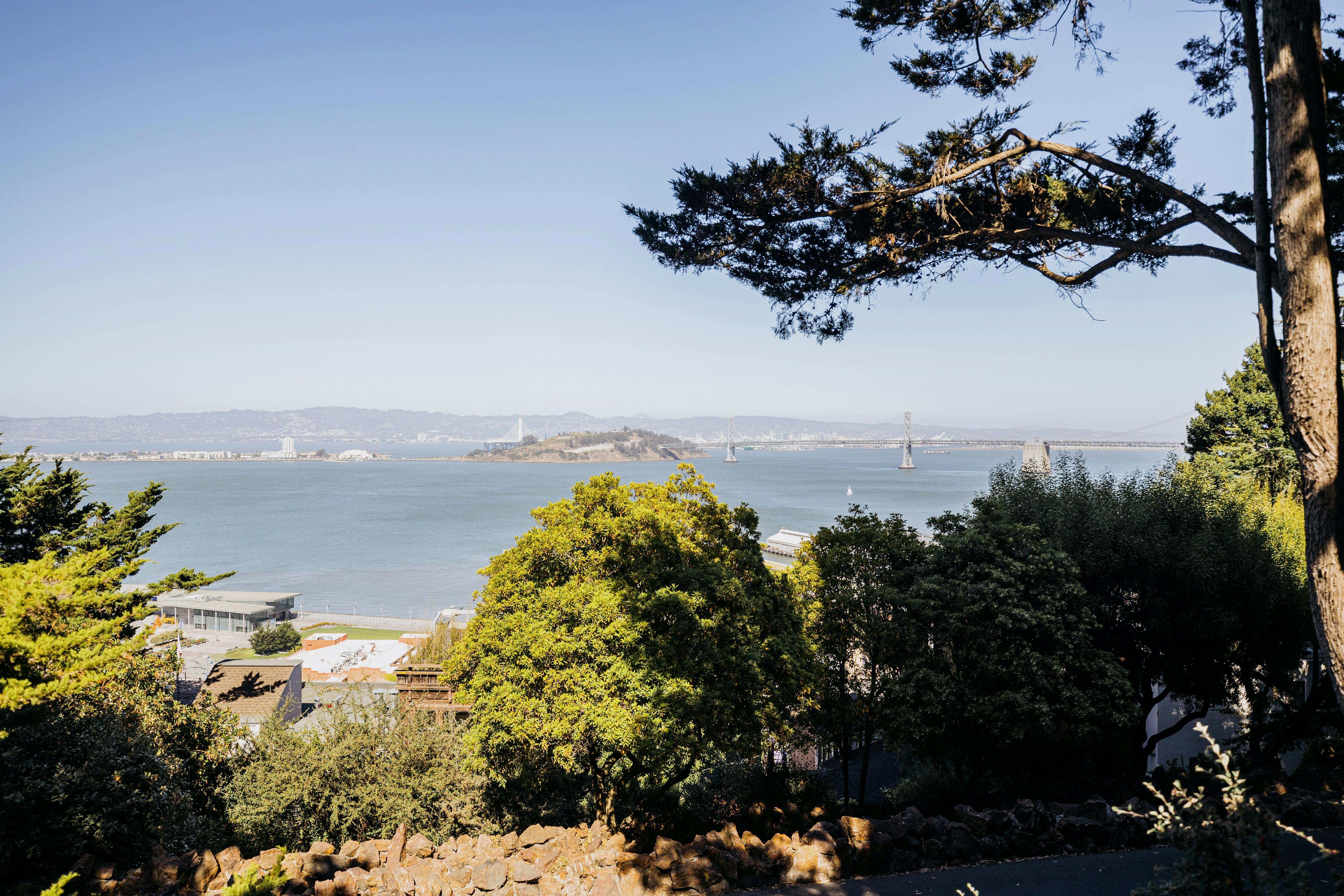 Panoramic Bay Vista from a Tree-Framed Overlook