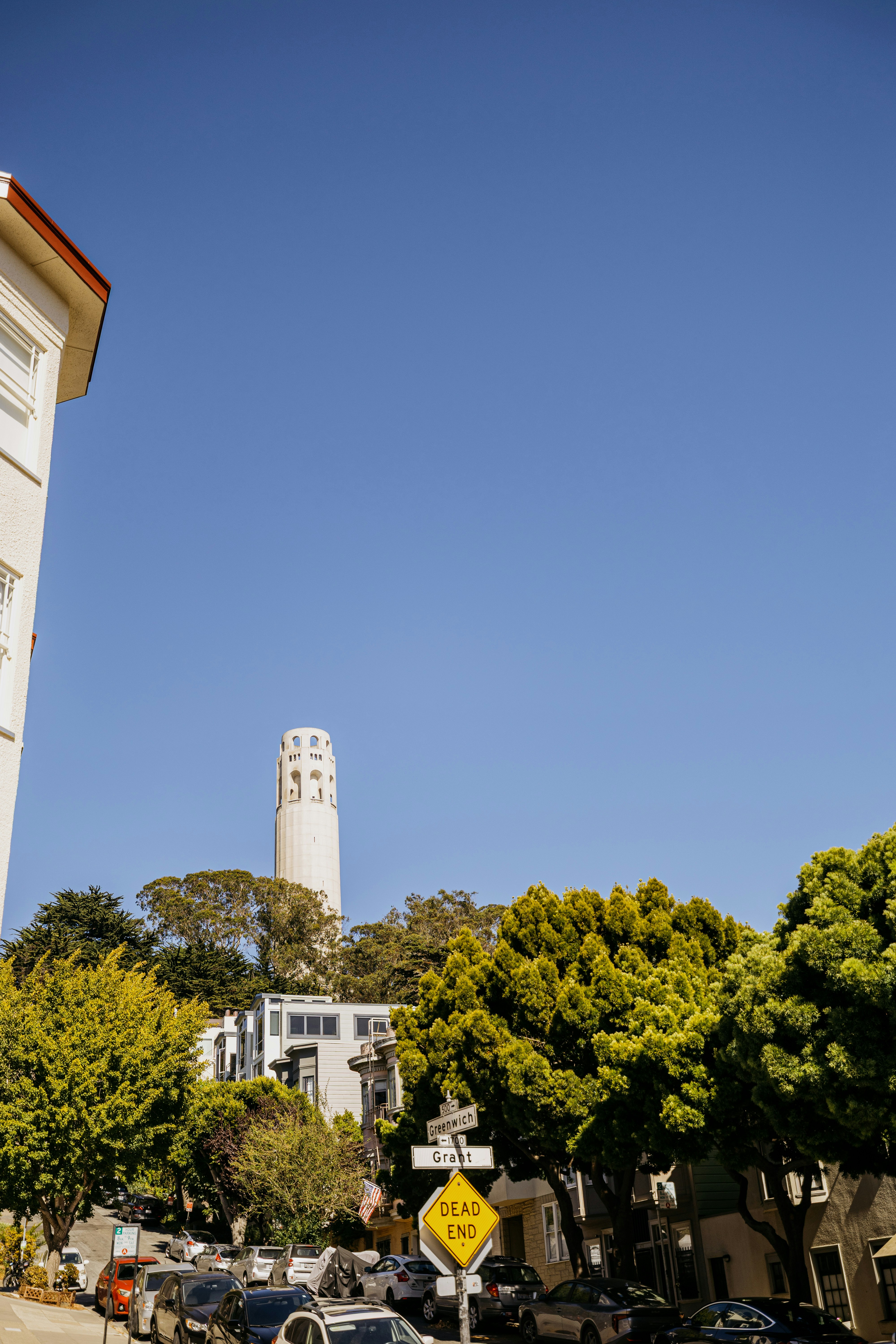 Towering Quiet: A City Square Framed by Trees and a Distant Clocktower