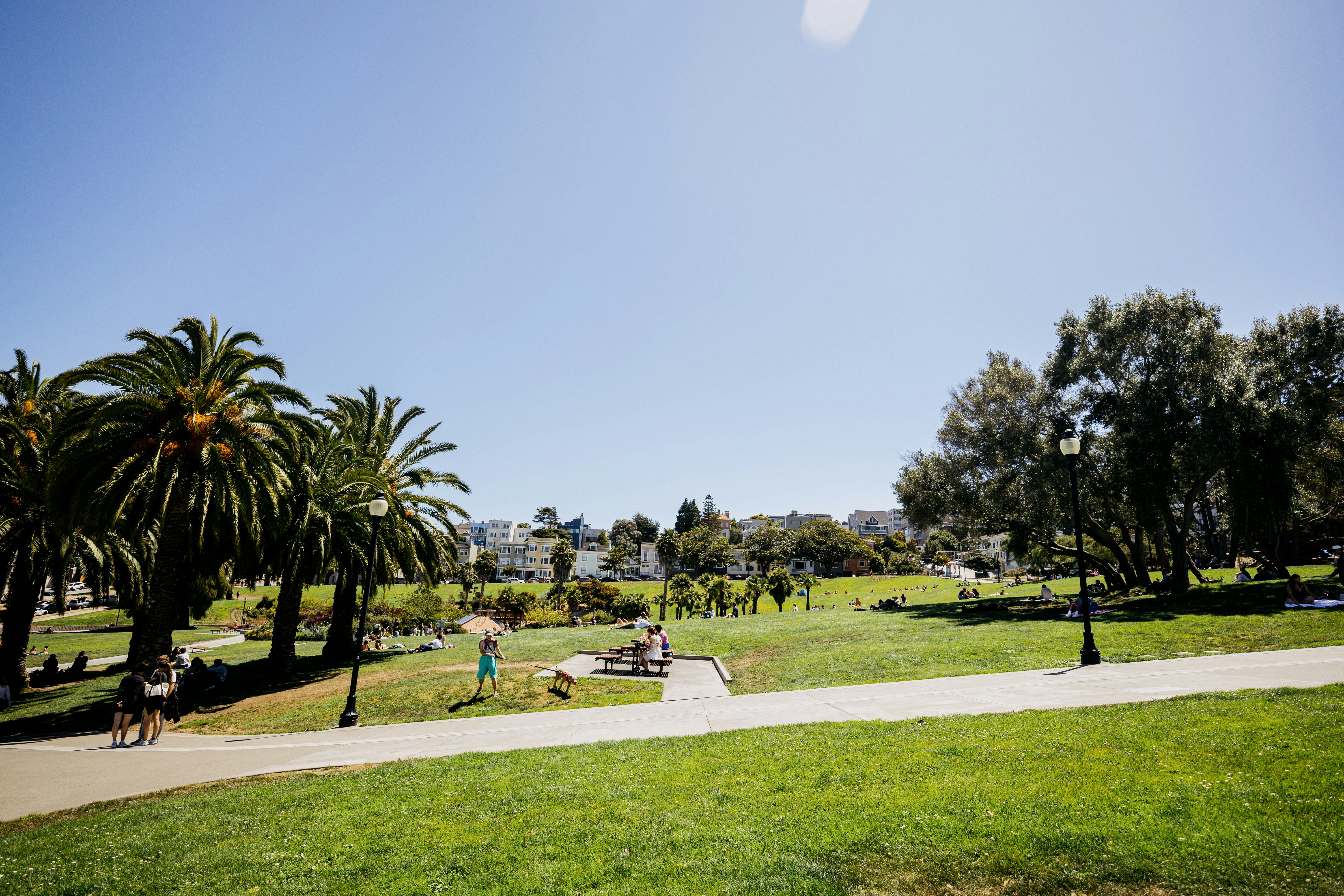 Sunlit Park Pathway with Palm Oasis and Social Scene
