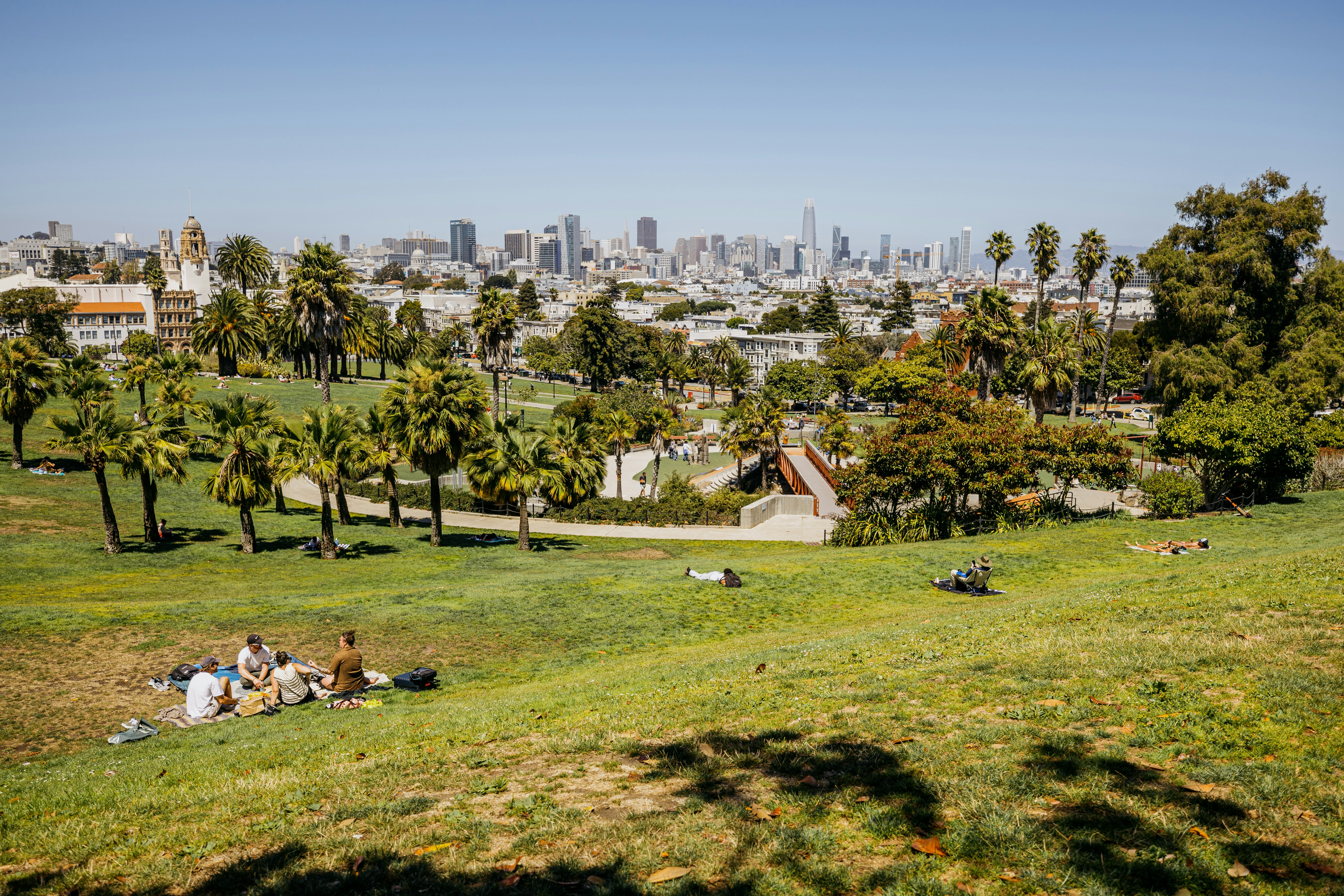 Sunlit Hilltop Picnic with San Francisco Skyline