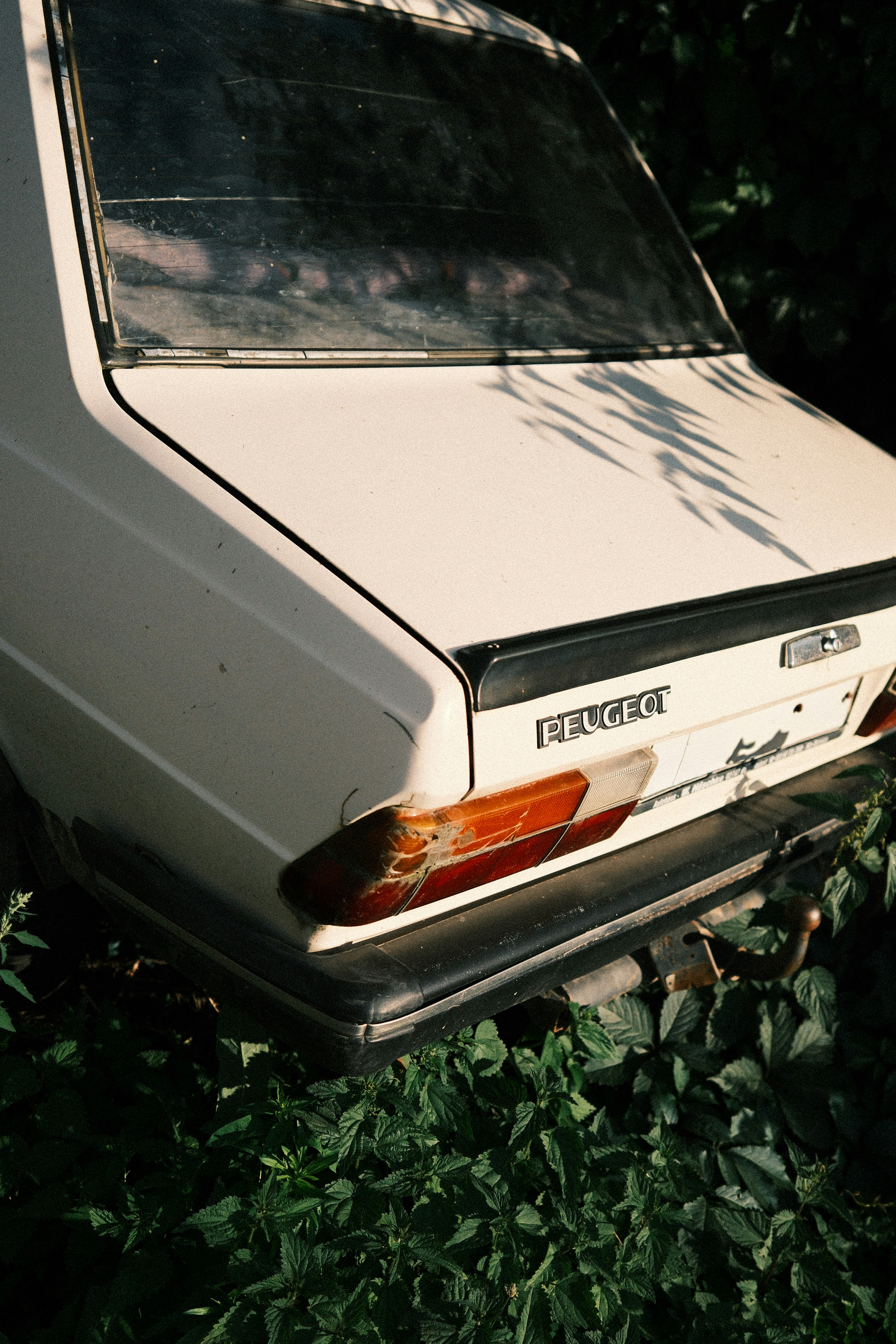 Weathered Peugeot: A Vintage Hatch Exposed to Time