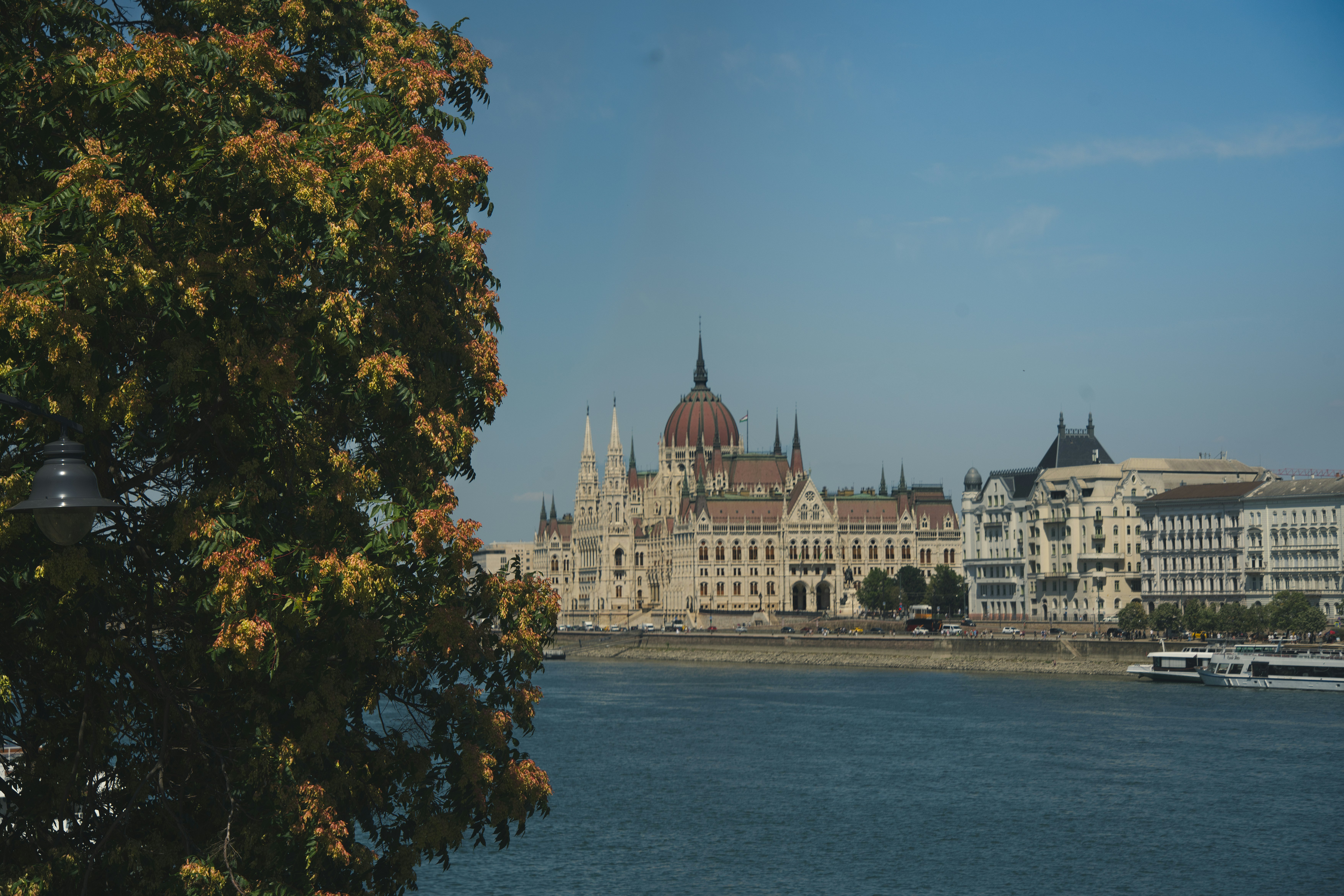 Distant view of the Hungarian Parliament Building along the Danube with a tree foreground, daylight, and calm water.