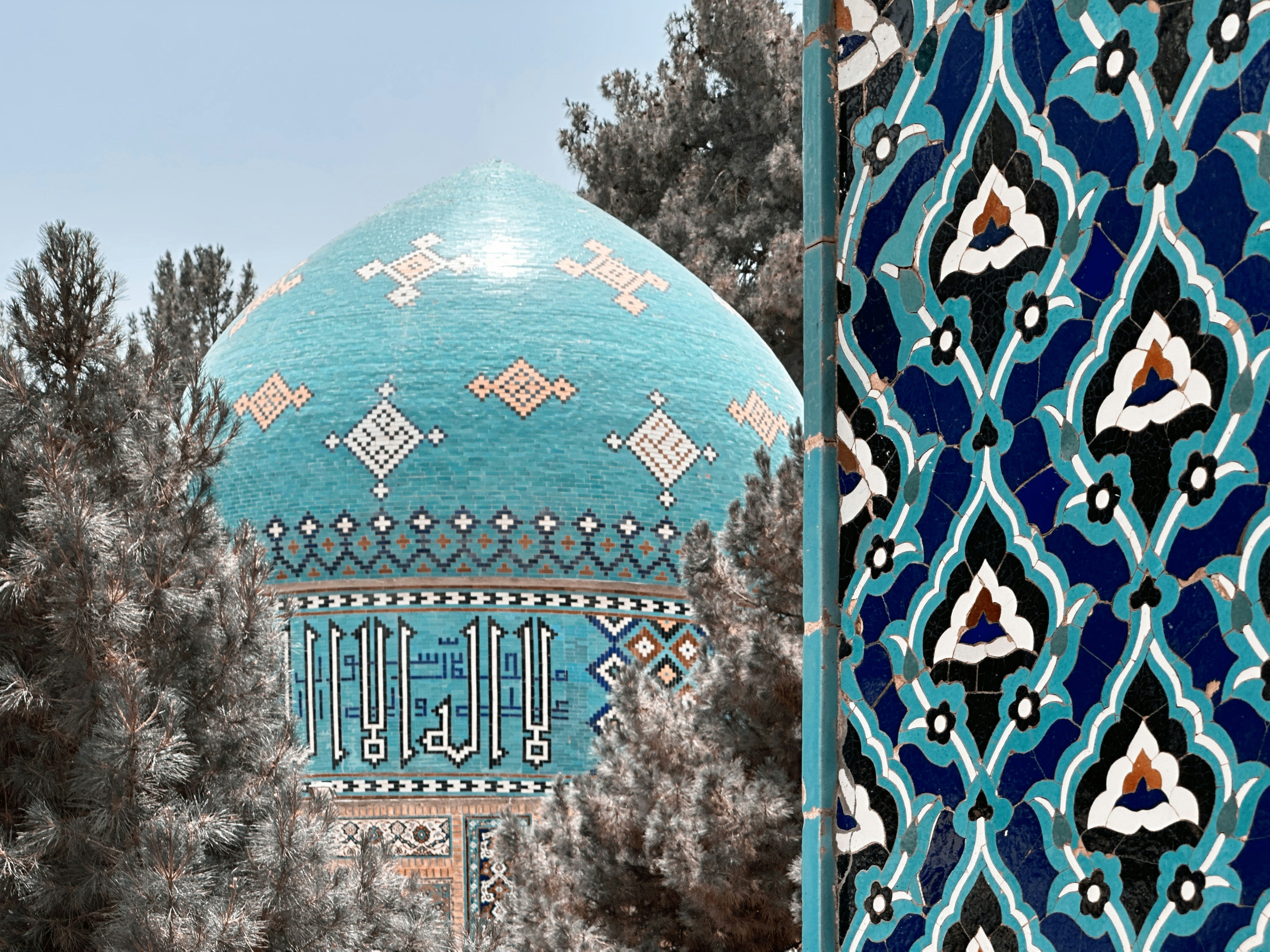 Teal Dome and Ornate Tiling Set Against Evergreen Backdrop