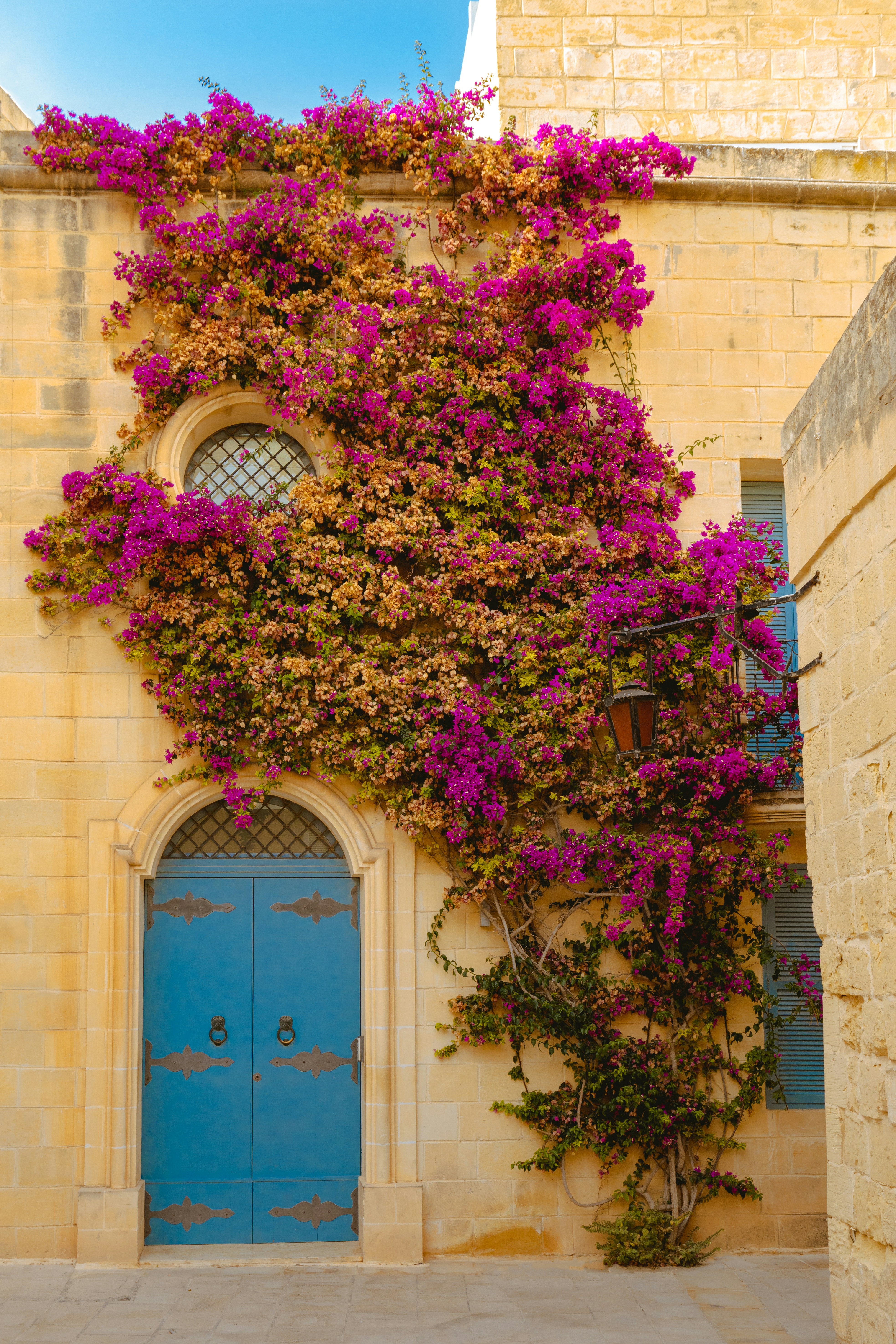 Azure Doorway Amid a Cascade of Bougainvillea