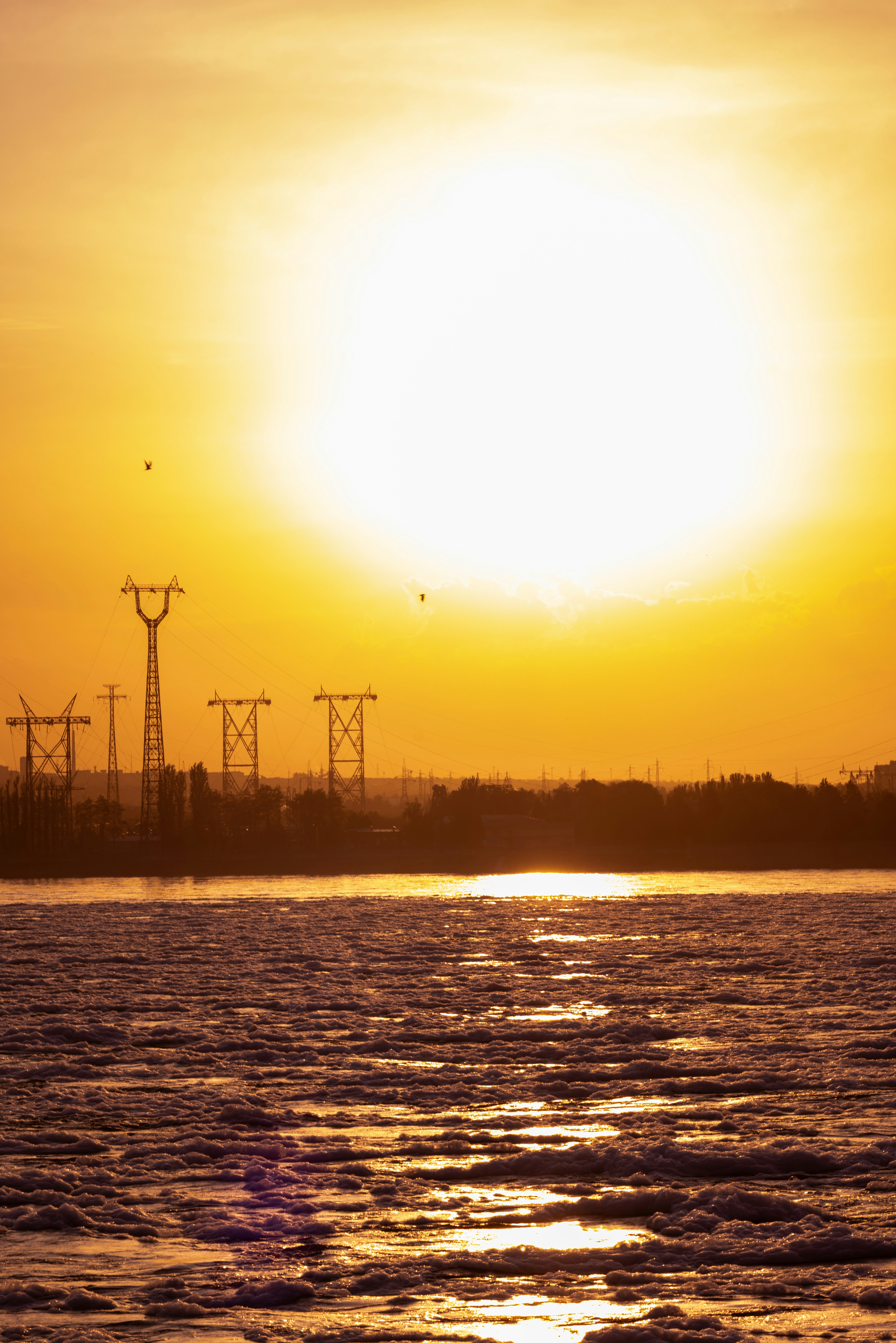 Sunburnt Skyline Over Silhouetted Power Lines at Dusk