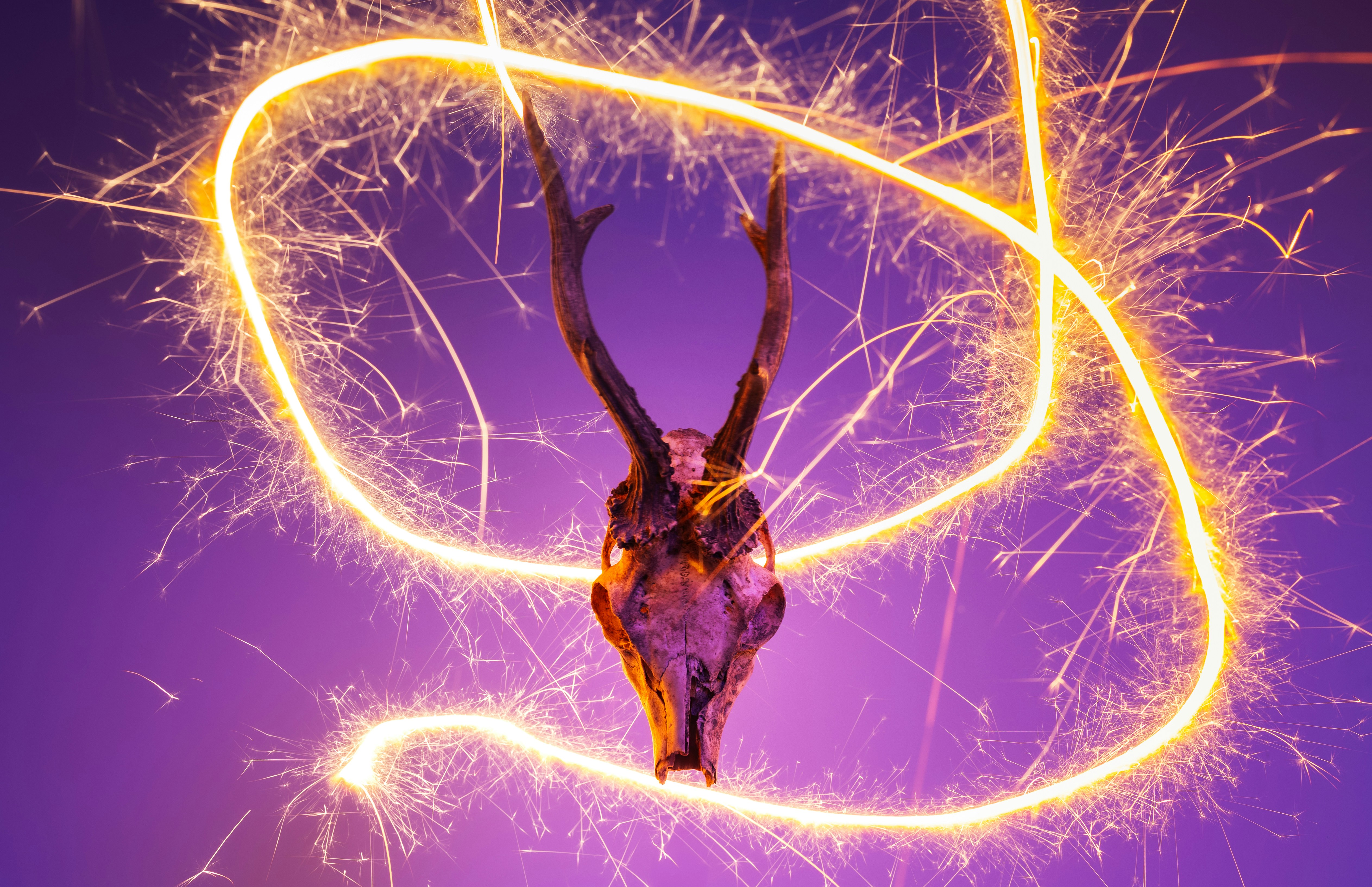Hooded Deer Corelit by Fiery Trails: A Midnight Sparkle Portrait