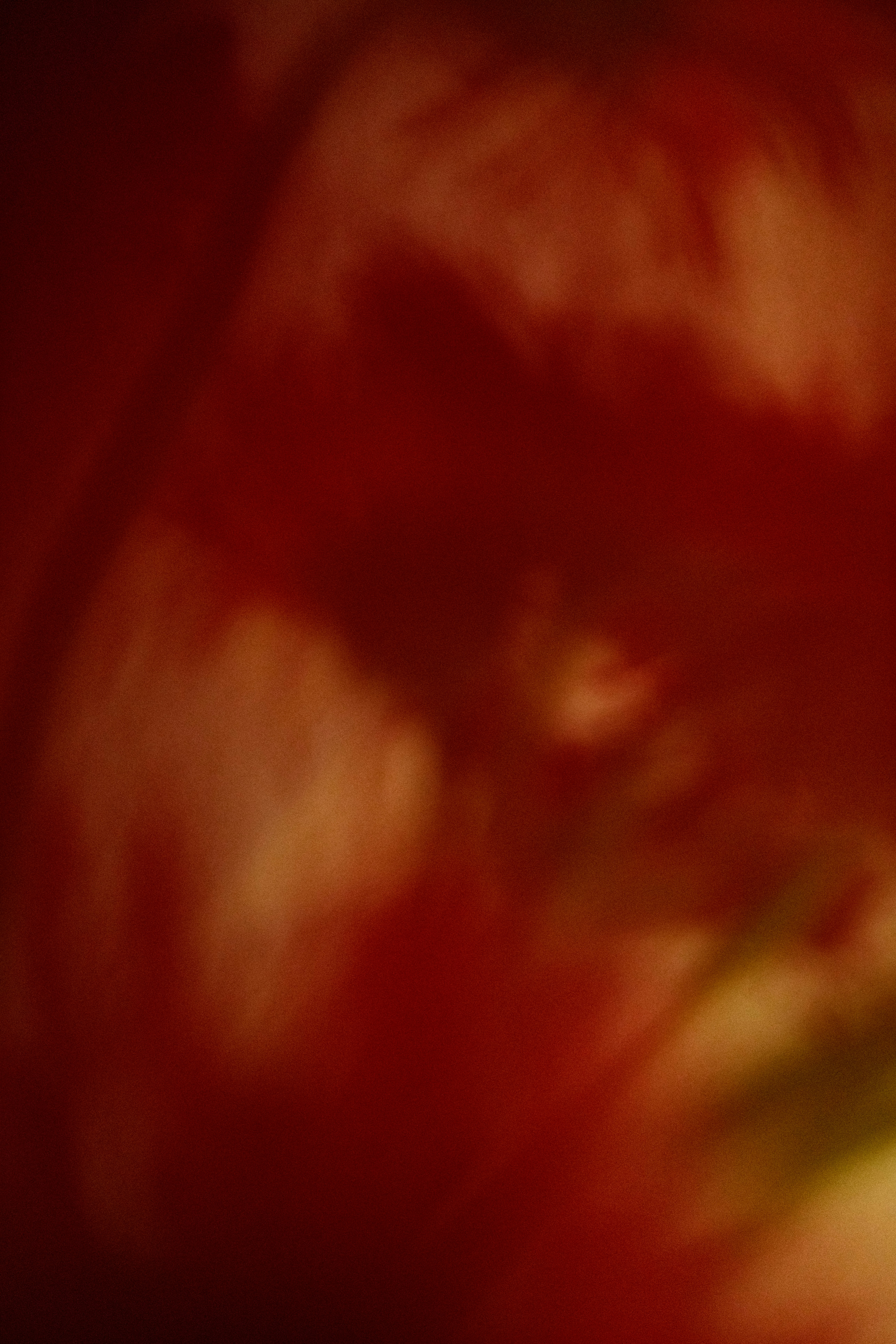 Red Quietude: Abstract Blur in Deep Crimson