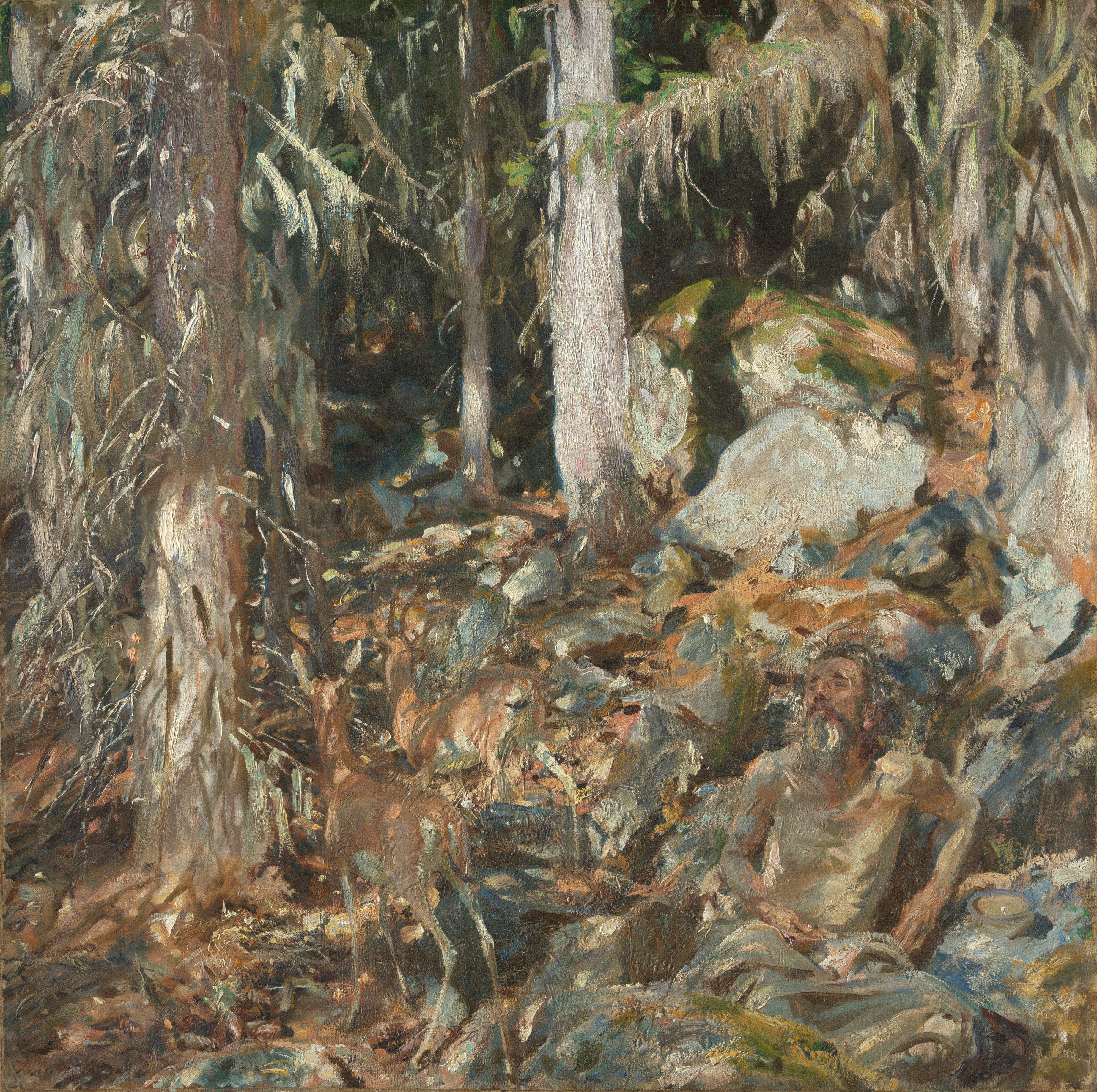 Forest Revelers: A Quiet Gathering Beneath Dappled Pines