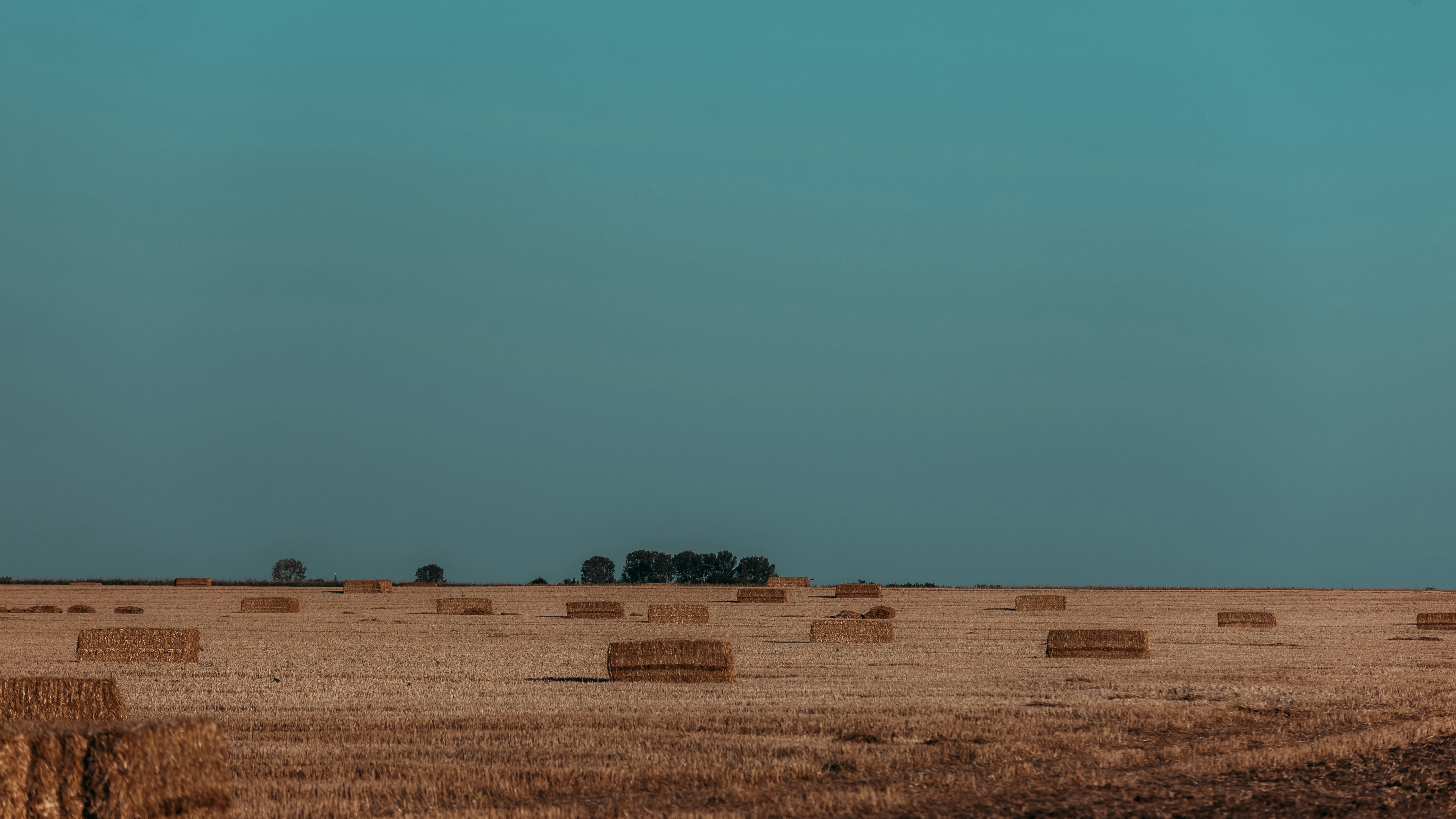 Harvested Horizons: Stacked Bales Under Wide Sky