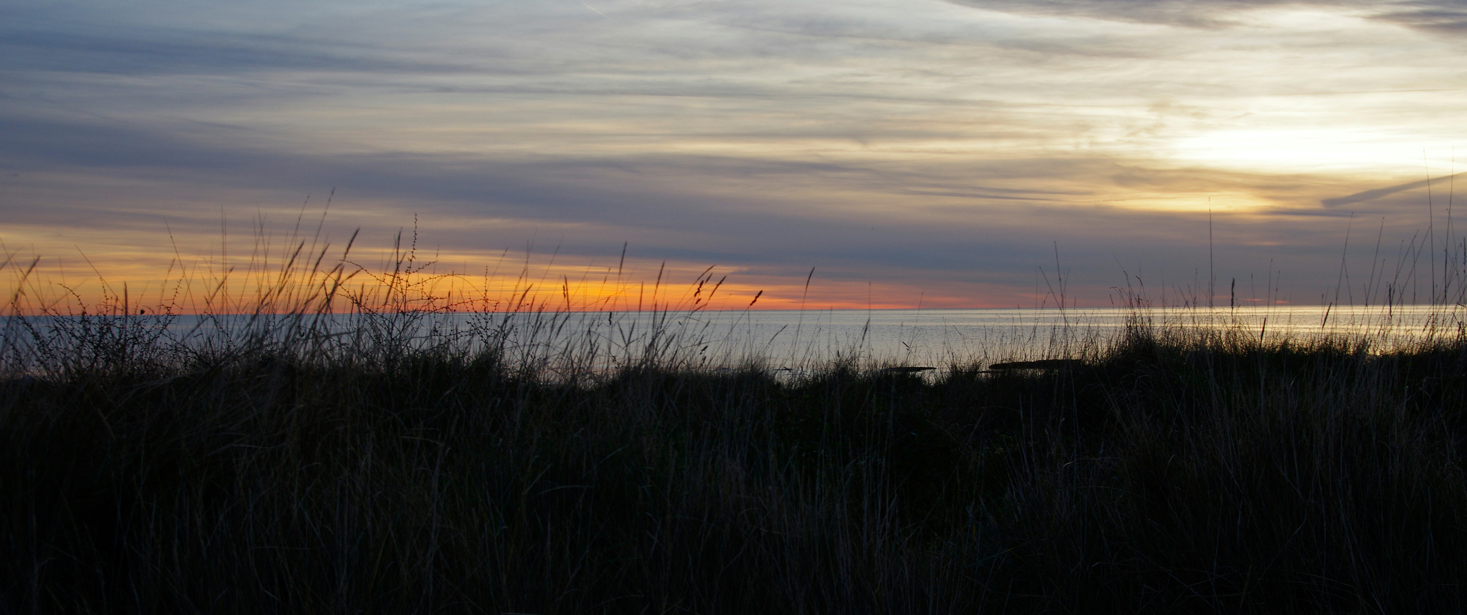 Dusk on the Dunes: Quiet Horizon over a Silhouette of Grass