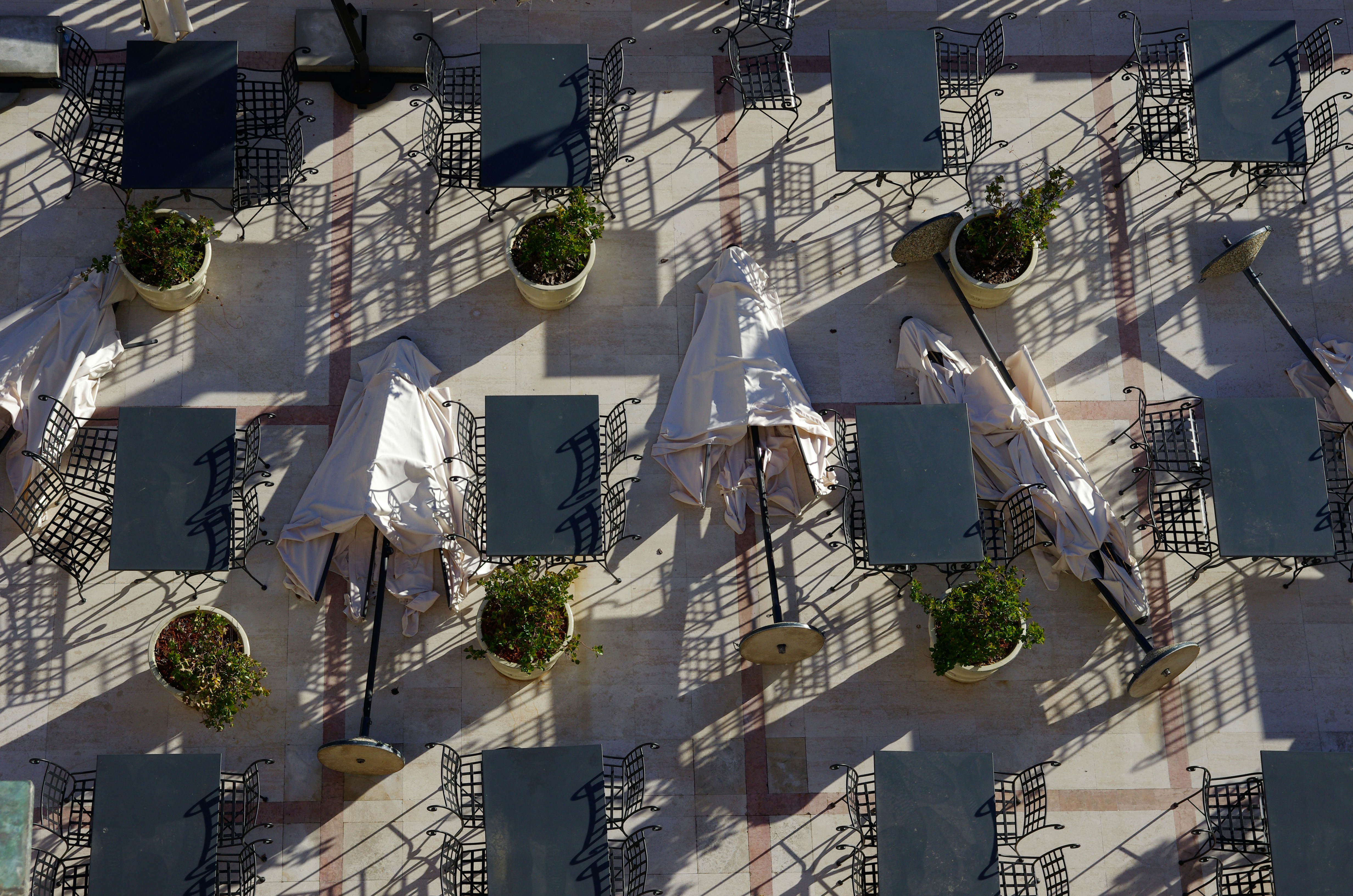 Symmetry in Shade: A Rooftop Garden from Above