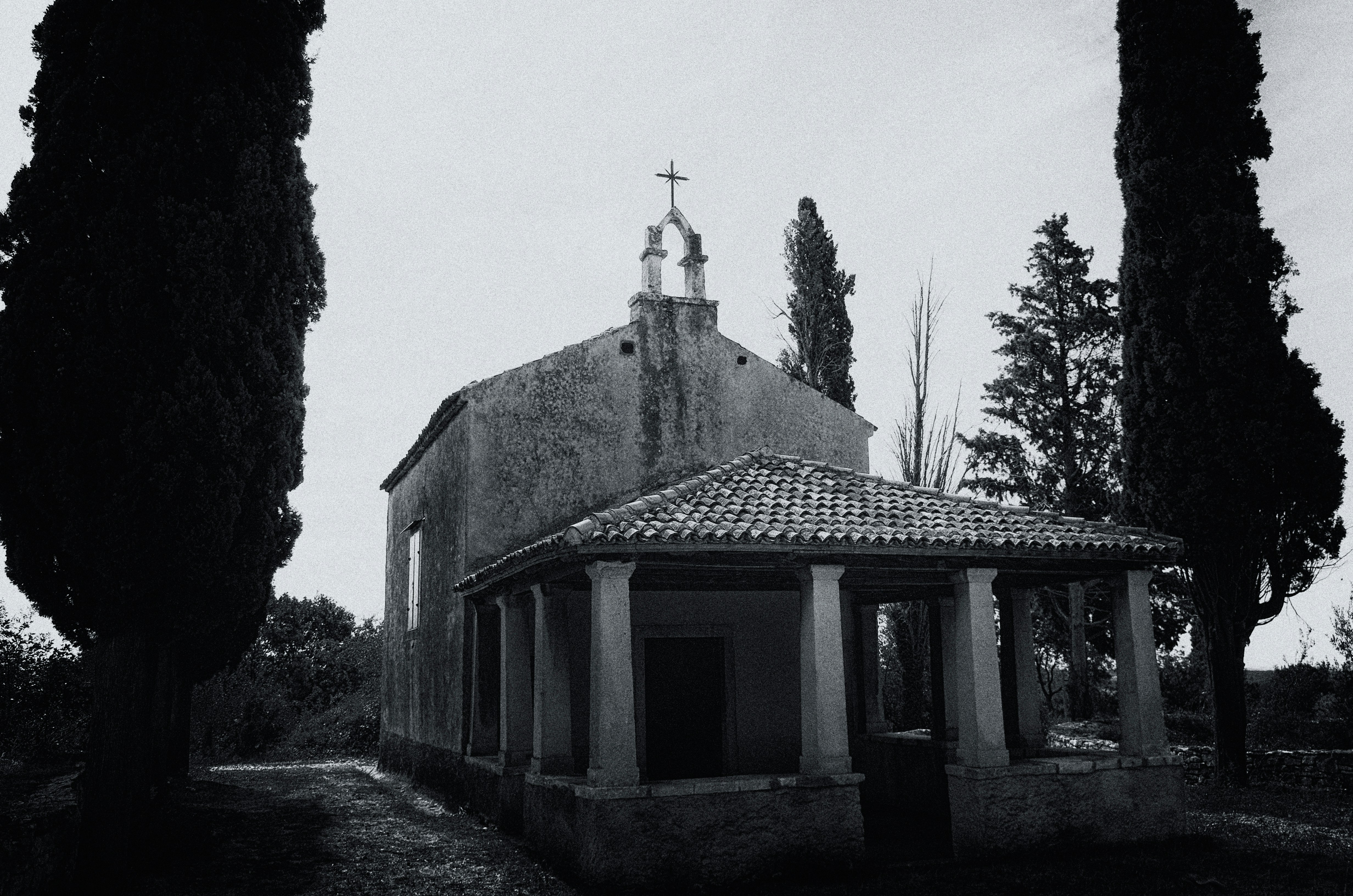 Quiet Mission Chapel Lined by Tall Pines