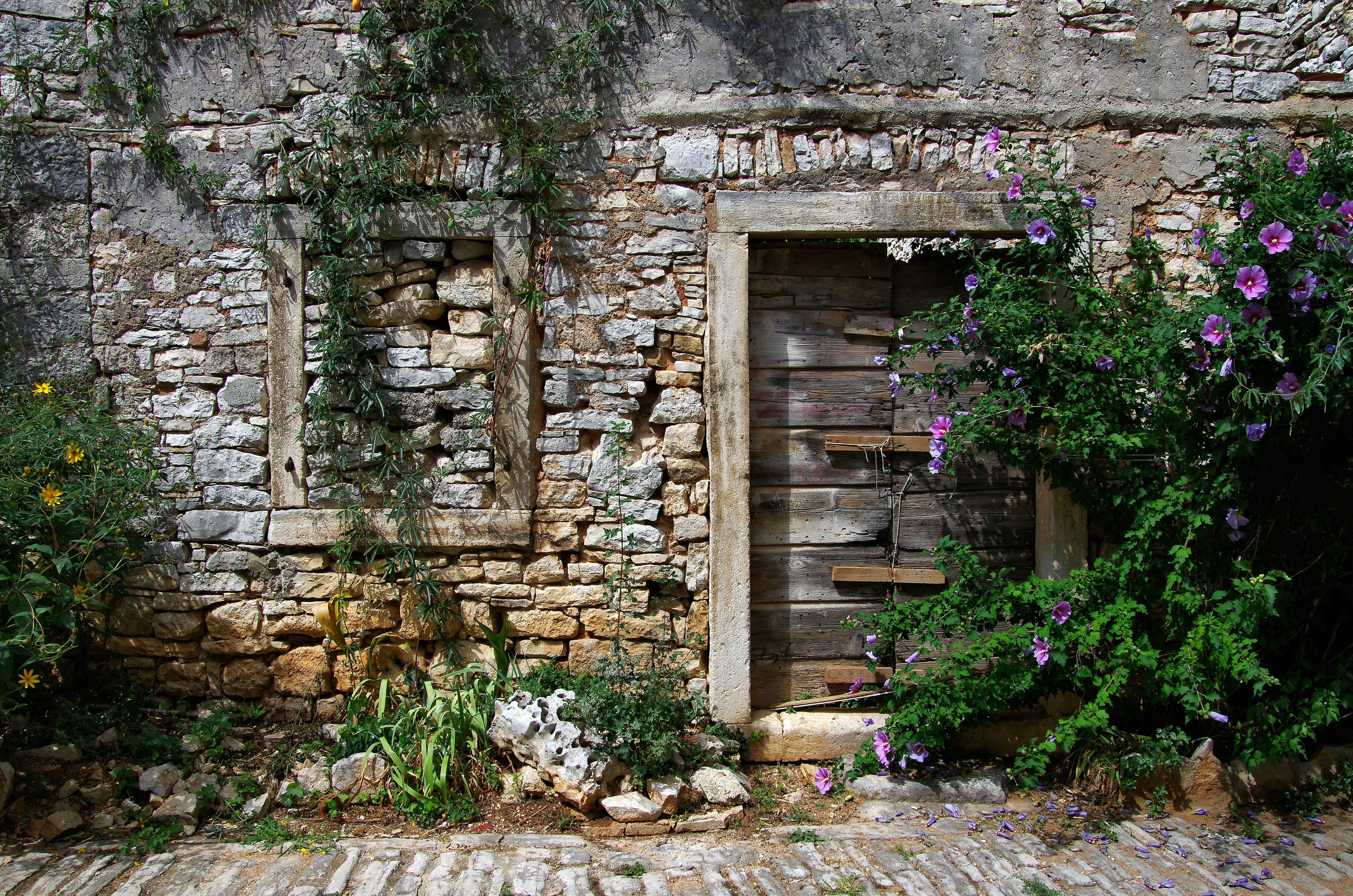 Weathered doorway framed by ivy and stone, a quiet garden ruin