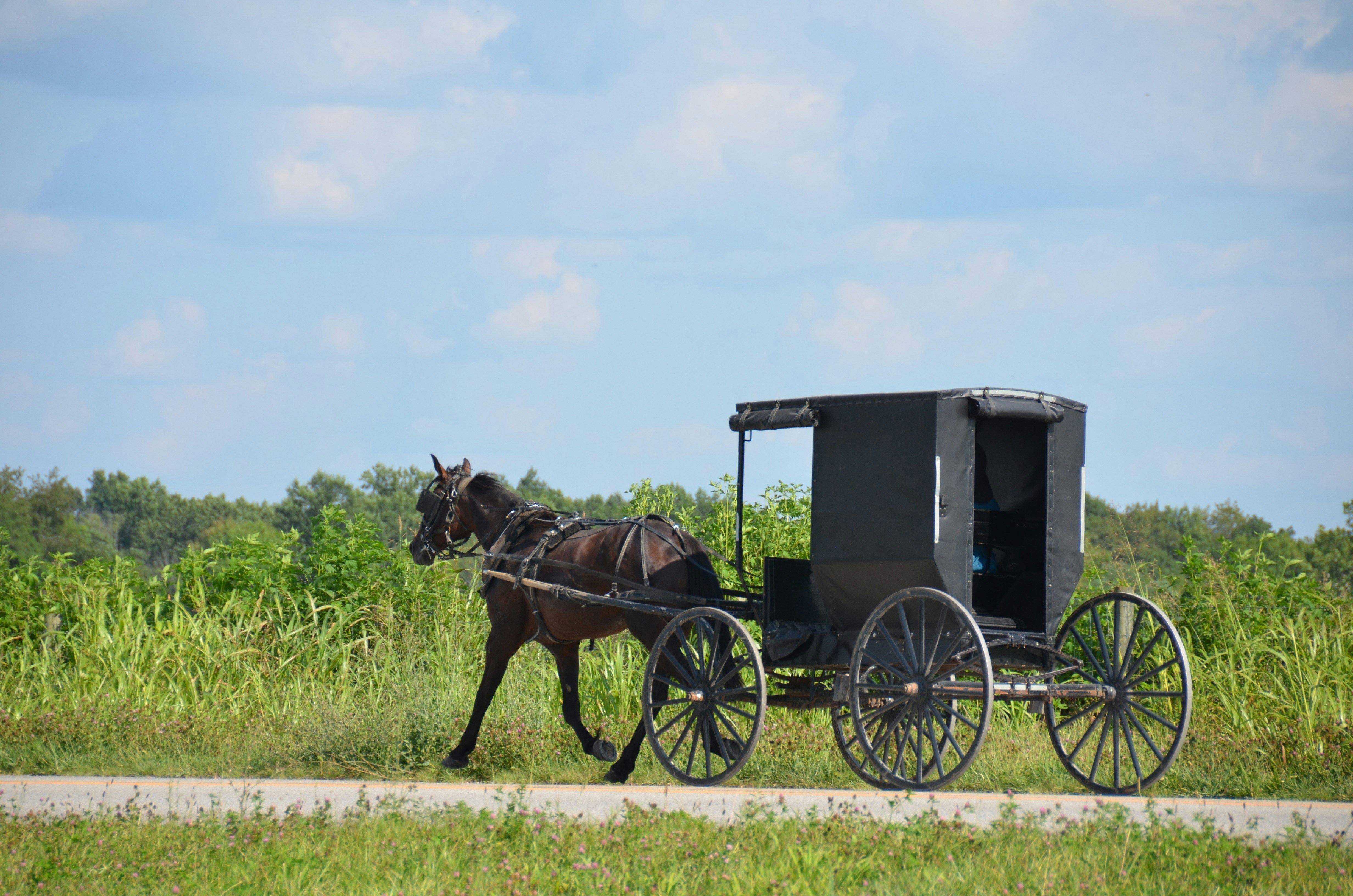 Moonlit Road: A Horse-Drawn Wagon Traverses a Quiet Field