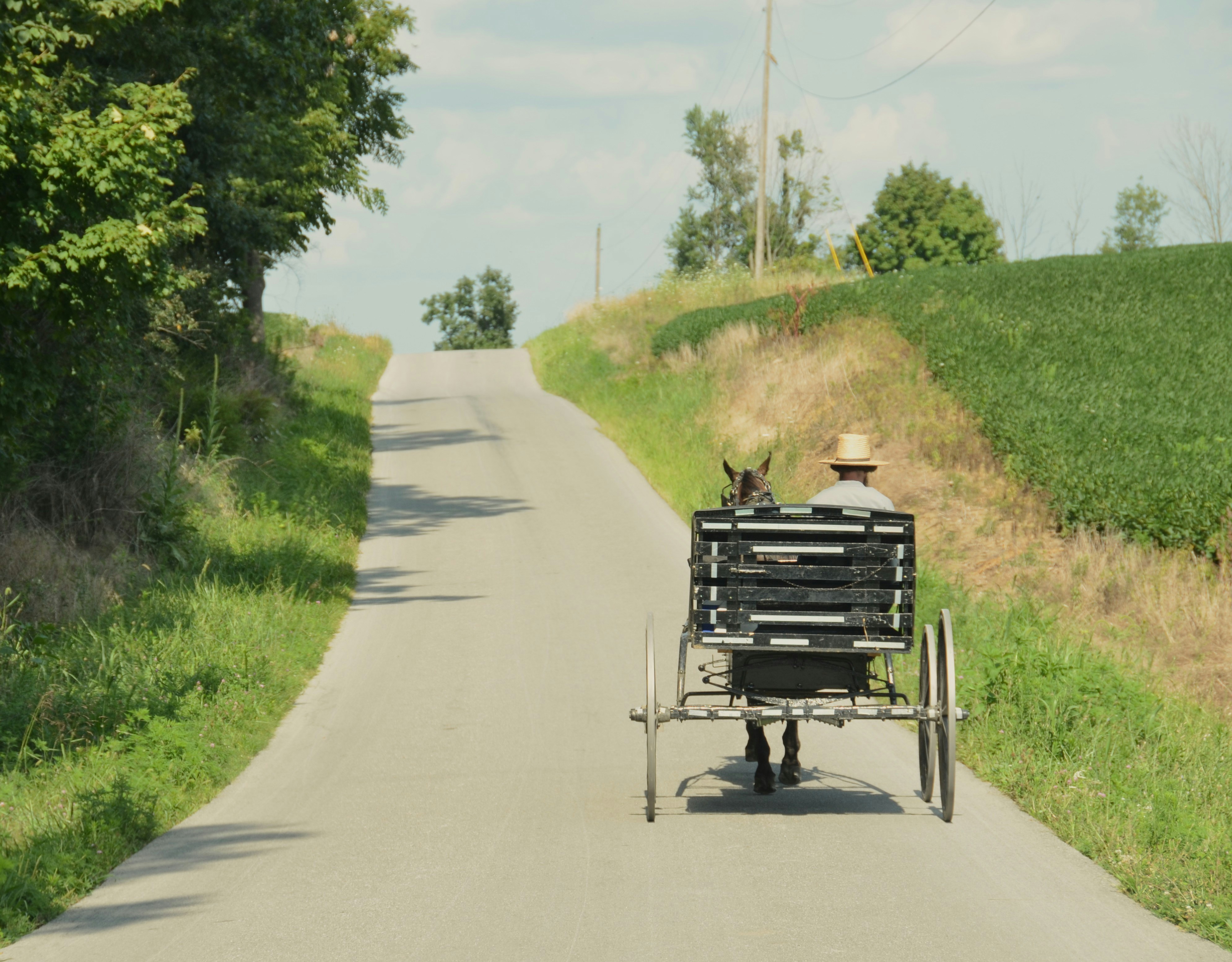 Wheel of Time: A rural cart trudges along a sunlit country road