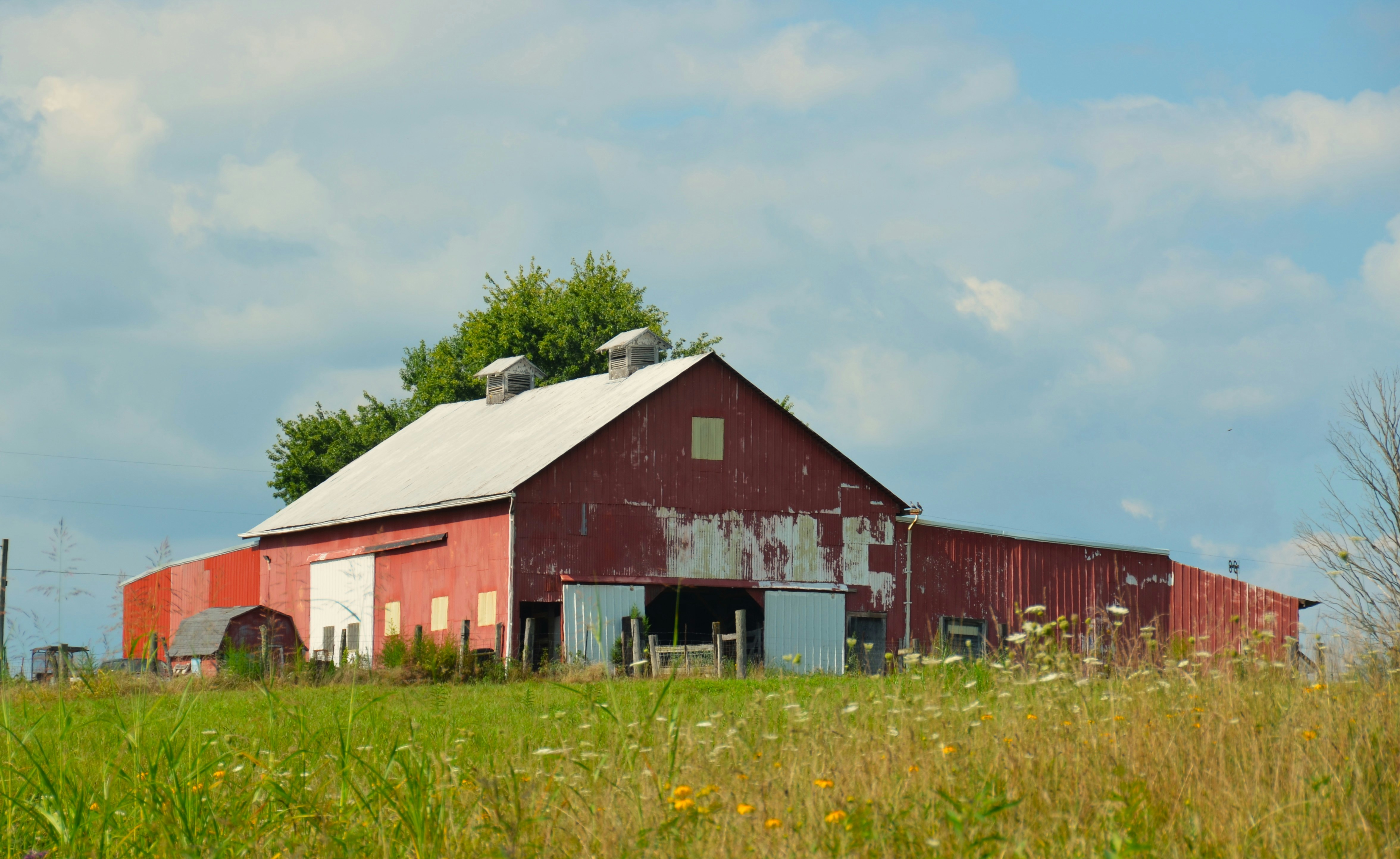 Red Barn on a May Morning