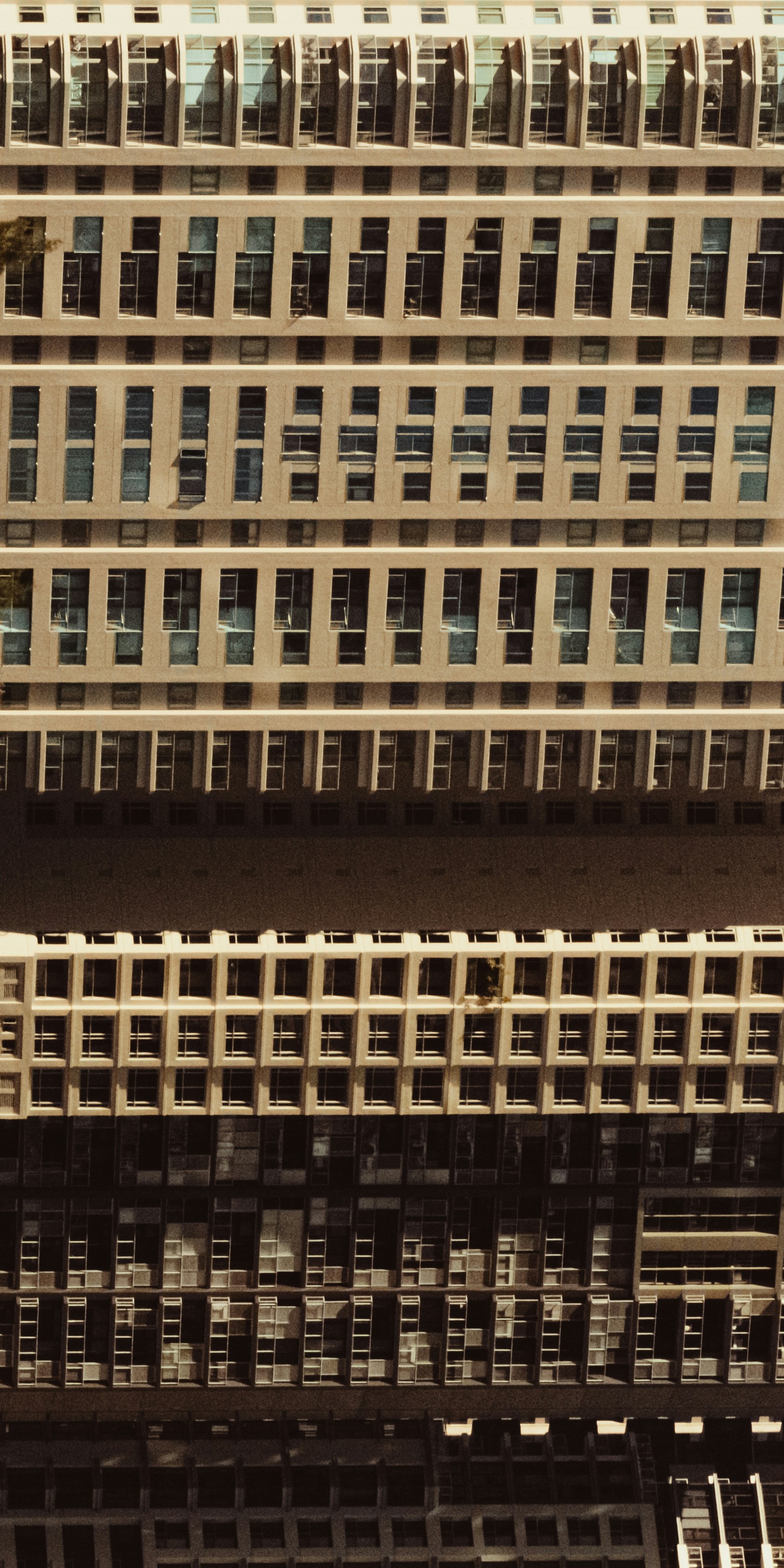 Urban Facade Rhythm: A Grid of Windows Across Time