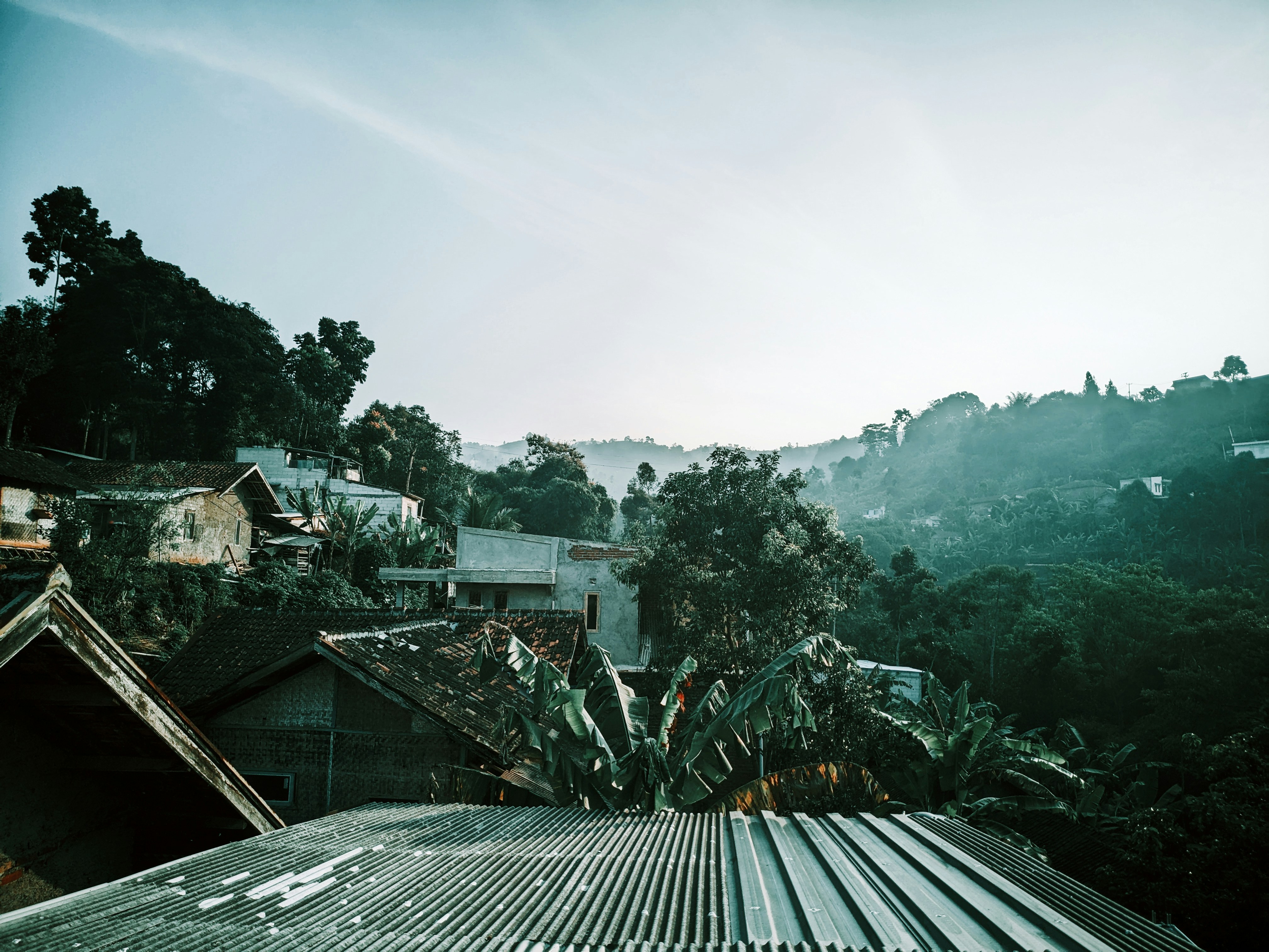 Rural hillside village tucked beneath a hazy morning canopy