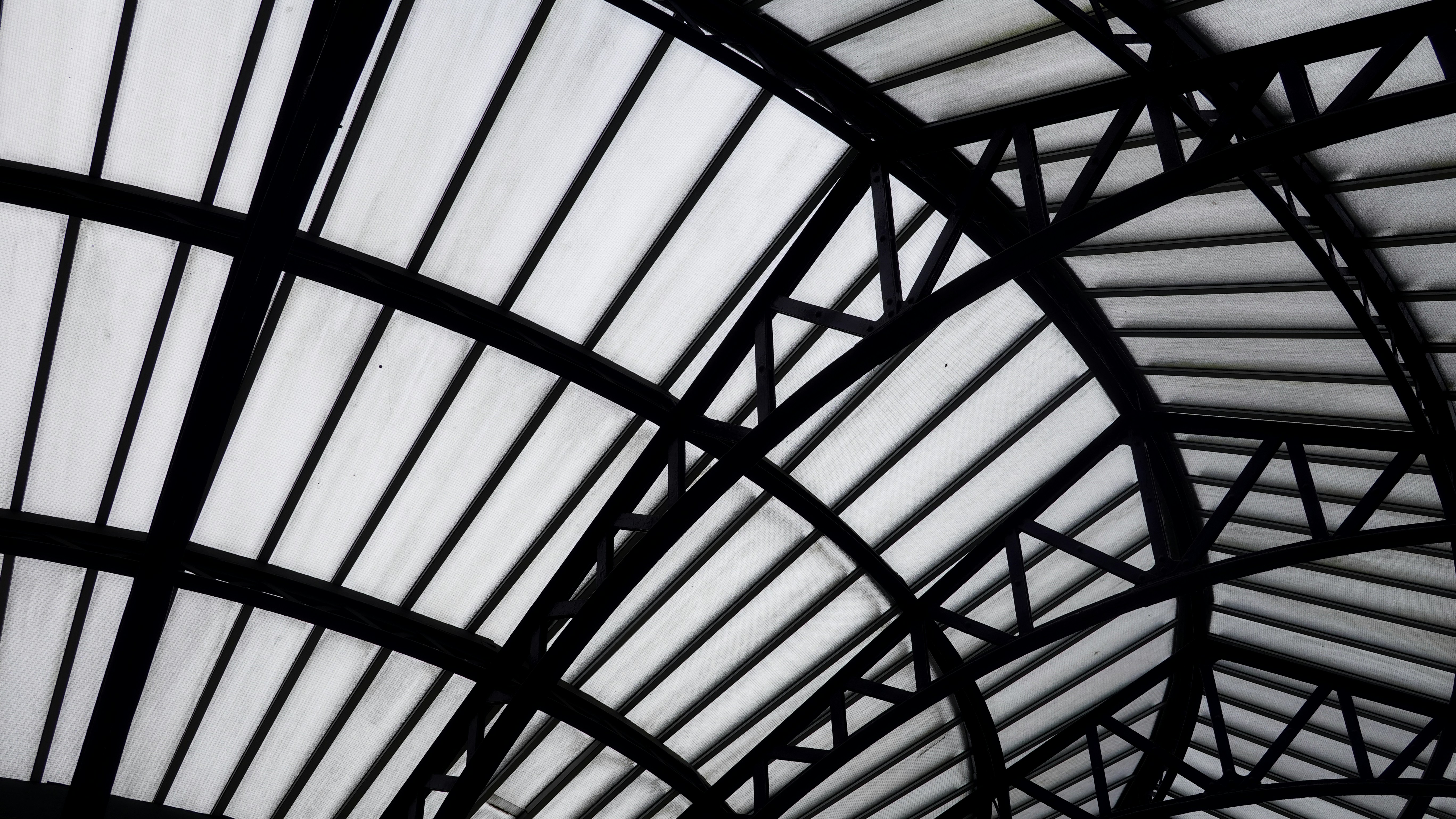 Crossed Frameworks: A Monochrome Mosaic of Arching Steel
