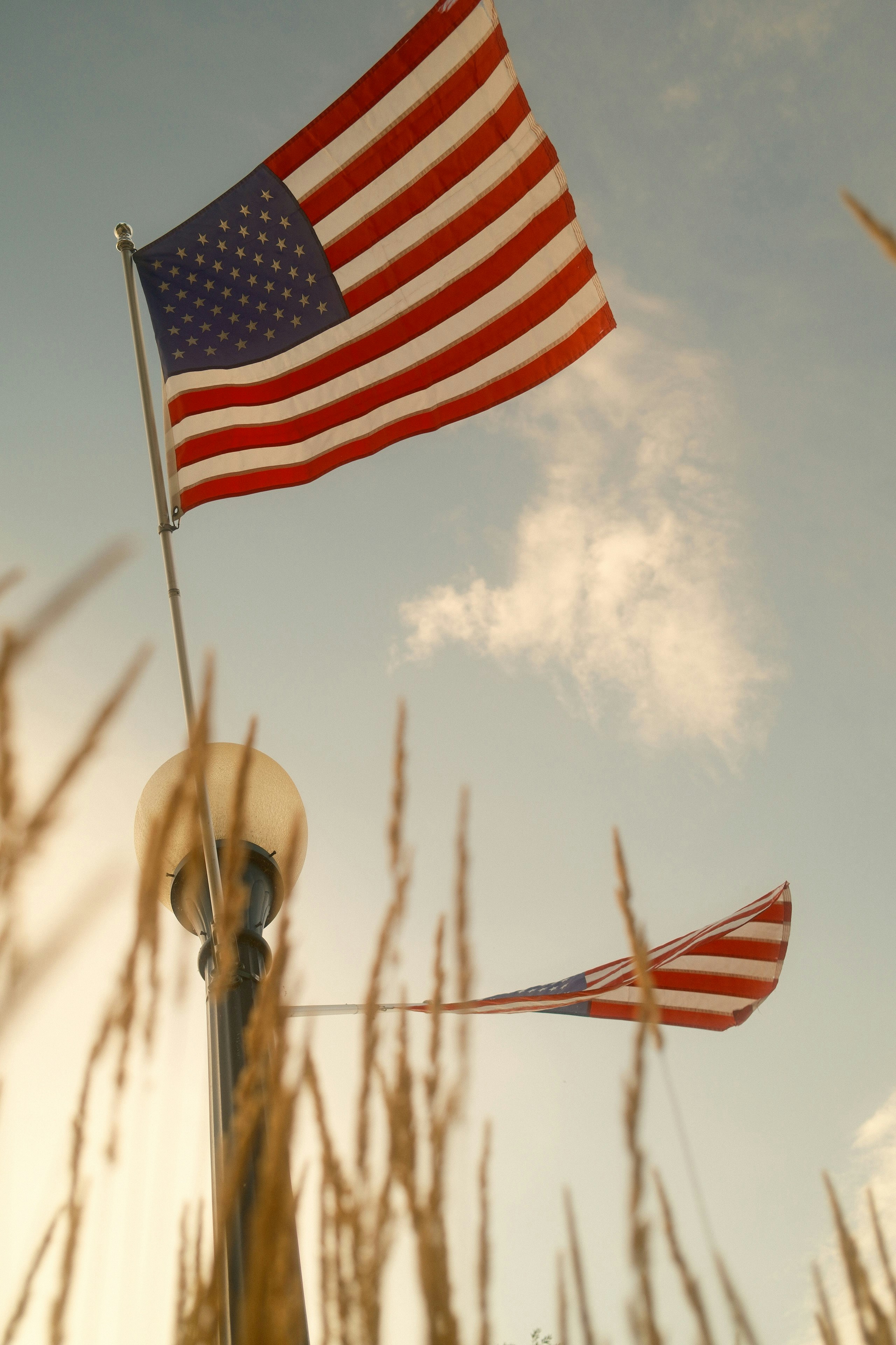 Flag Above the Field: An American Emblem in Gentle Light