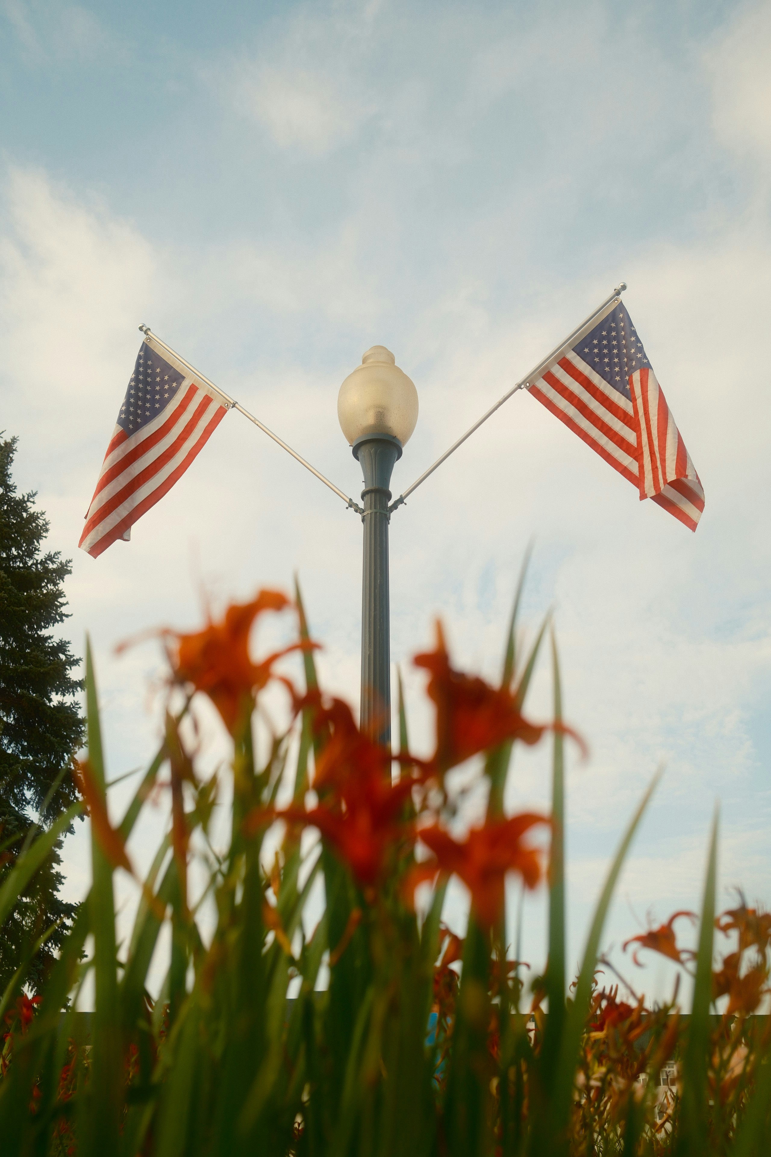 Two American flags extend from a central lamppost above a foreground of orange flowers, set against a bright sky. A simple, everyday civic scene captured with a shallow depth of field.